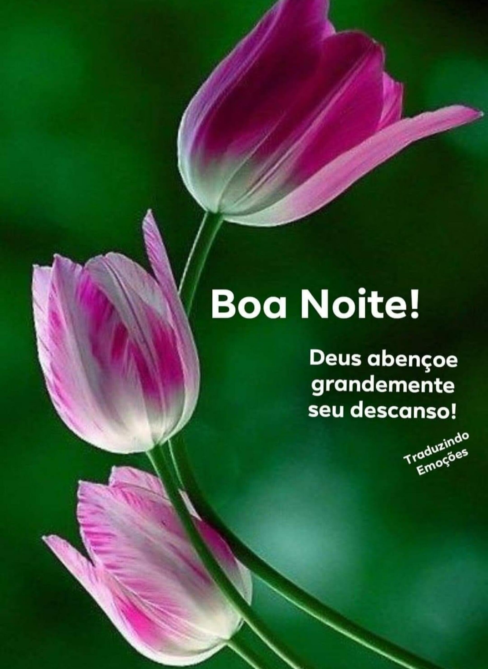 25 Imagens E Frases Para Boa Noite Prahoje Net