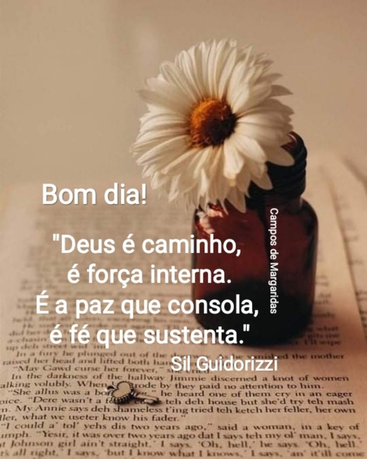 25+ lindas imagens de Bom Dia - PraHoje.net