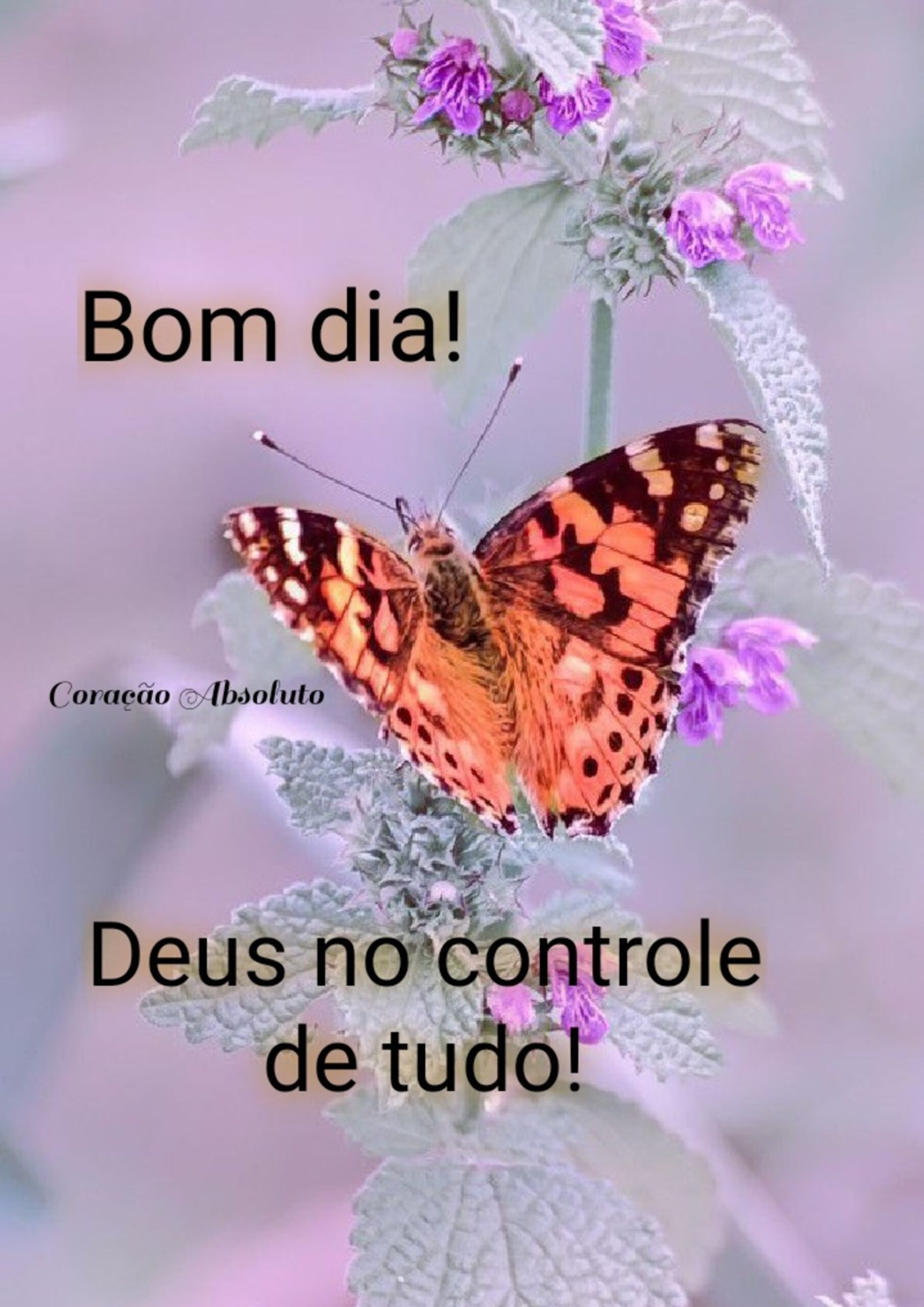 Bom Dia que Deus nos abençoe - PraHoje.net