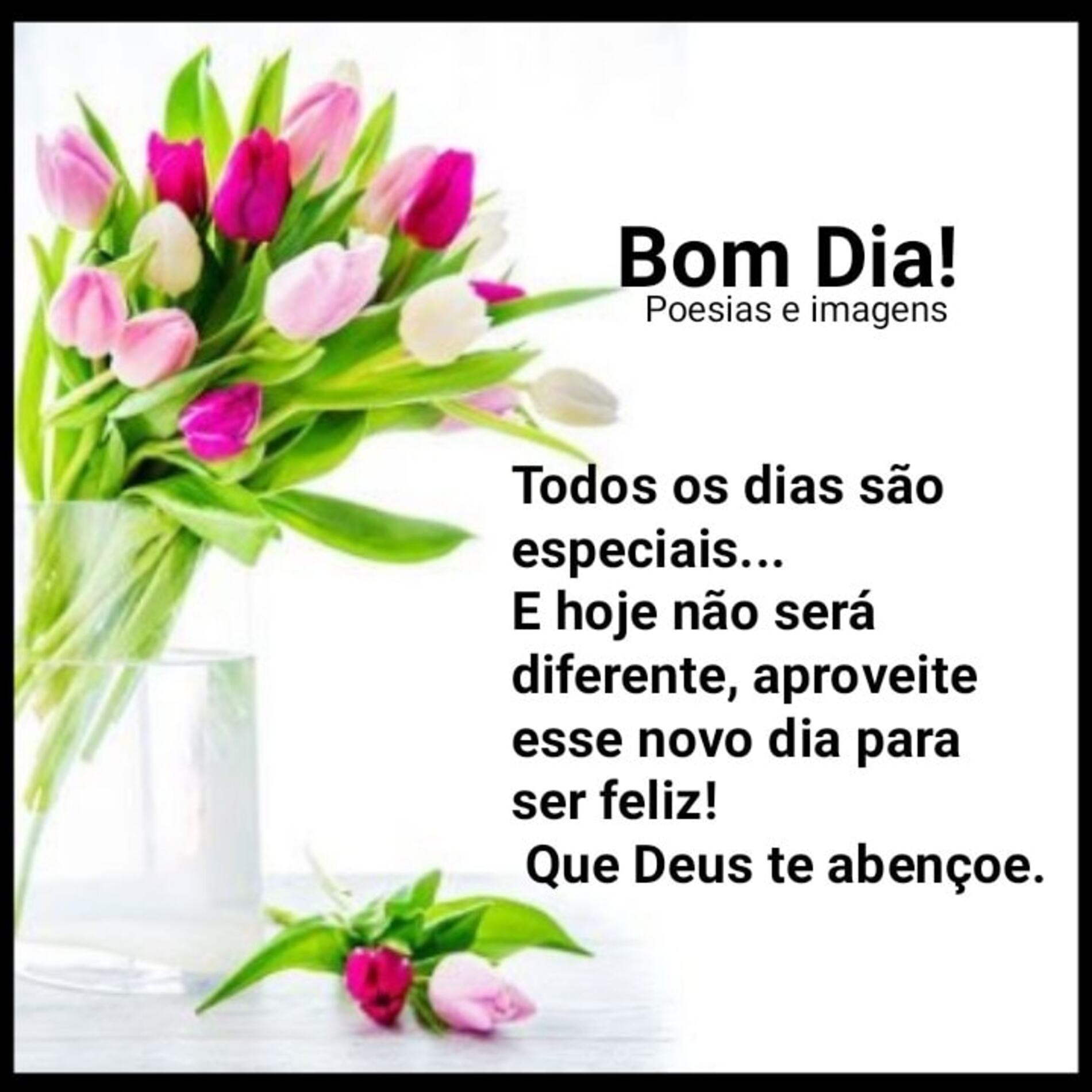 Bom e Feliz Dia amigos do WhatsApp - PraHoje.net