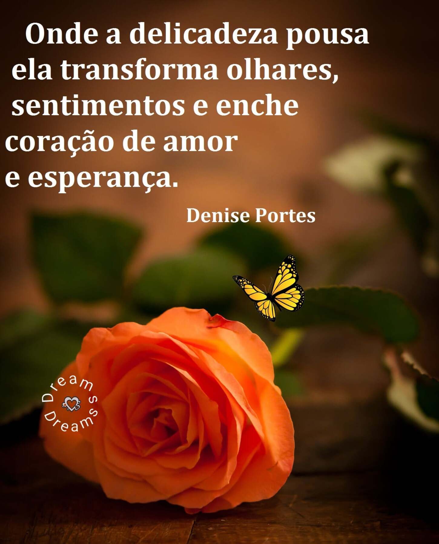 25+ Citações e frases lindas para Facebook - PraHoje.net