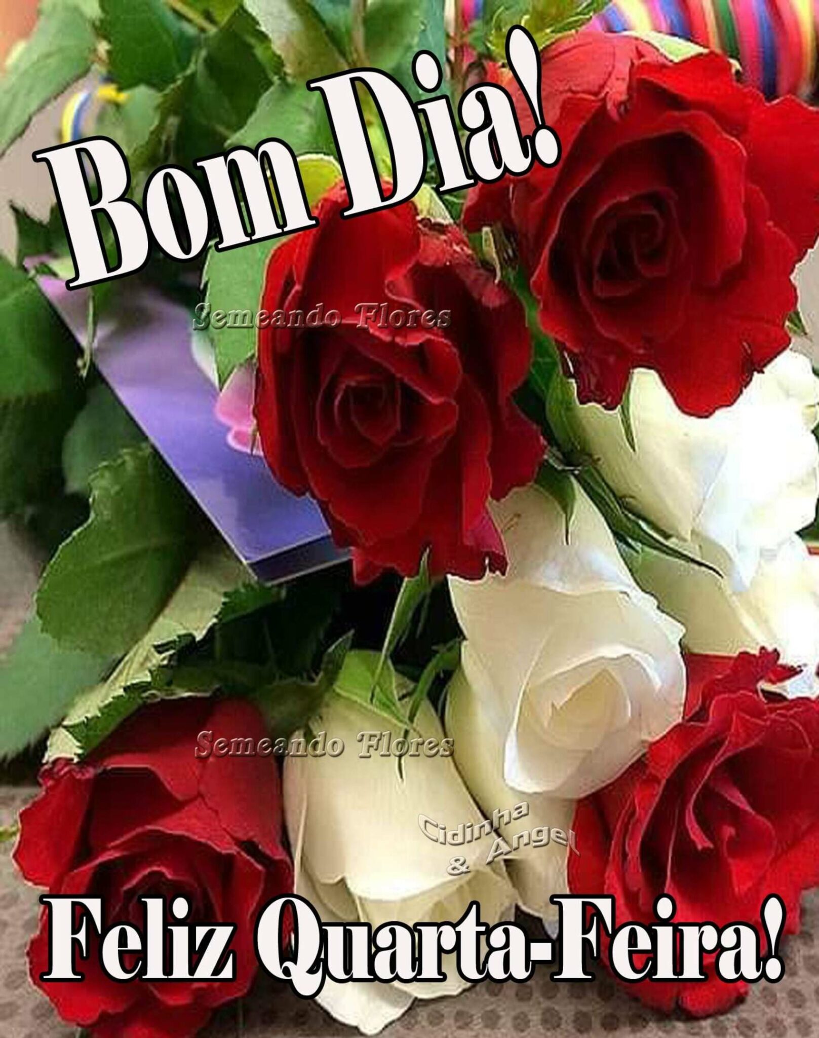 Belas imagens pra Quarta-feira pra WhatsApp - PraHoje.net