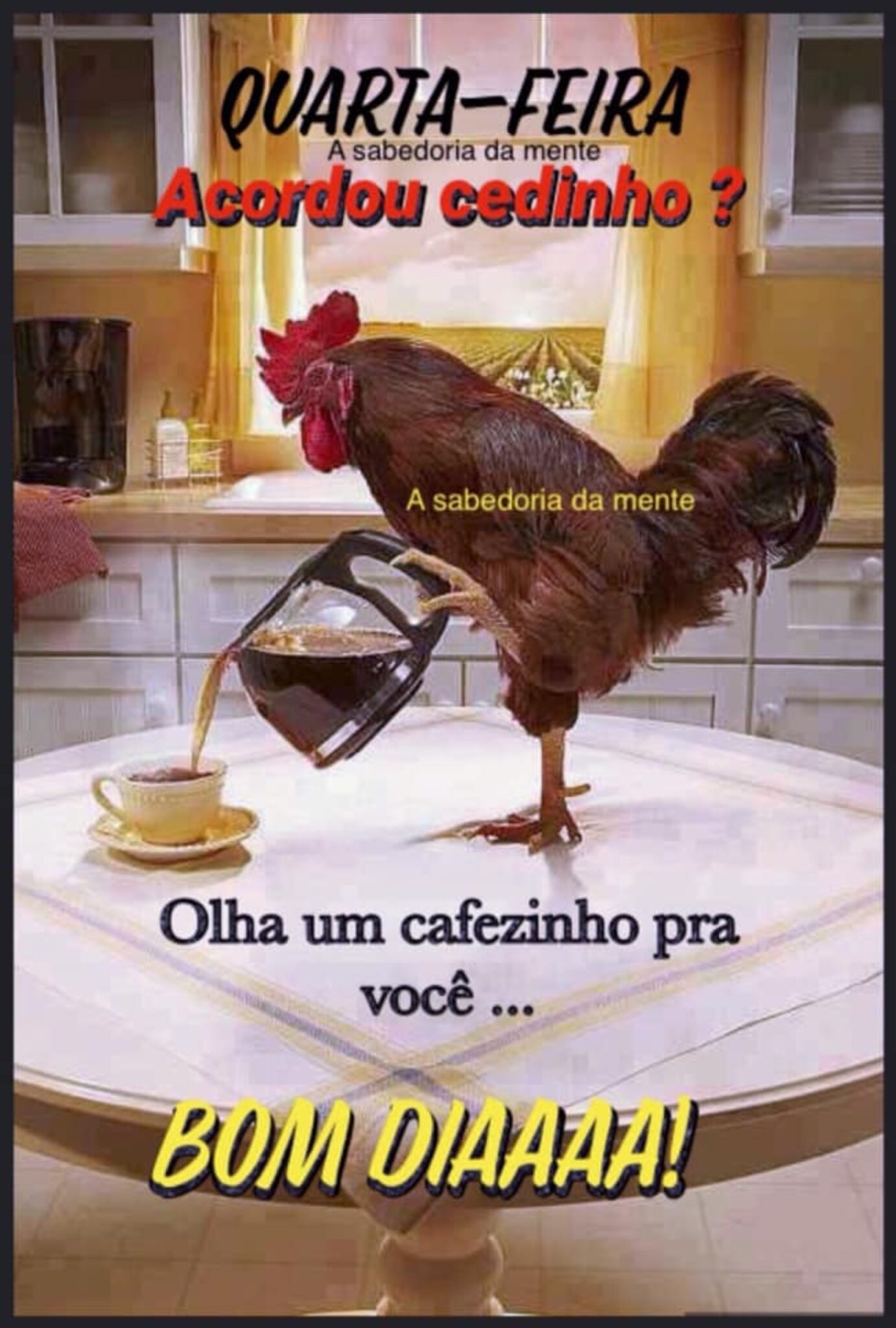 Belas imagens pra Quarta-feira pra WhatsApp - PraHoje.net