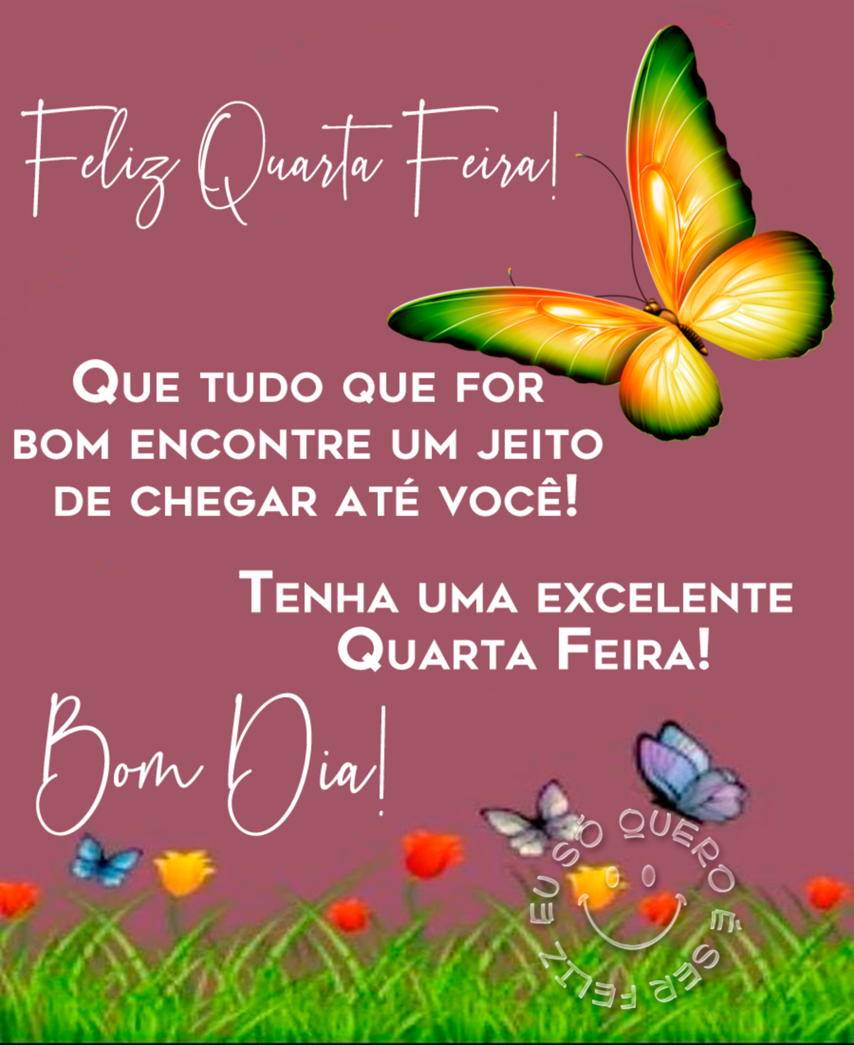 Feliz Quarta imagens bonitas para Whatsapp - PraHoje.net