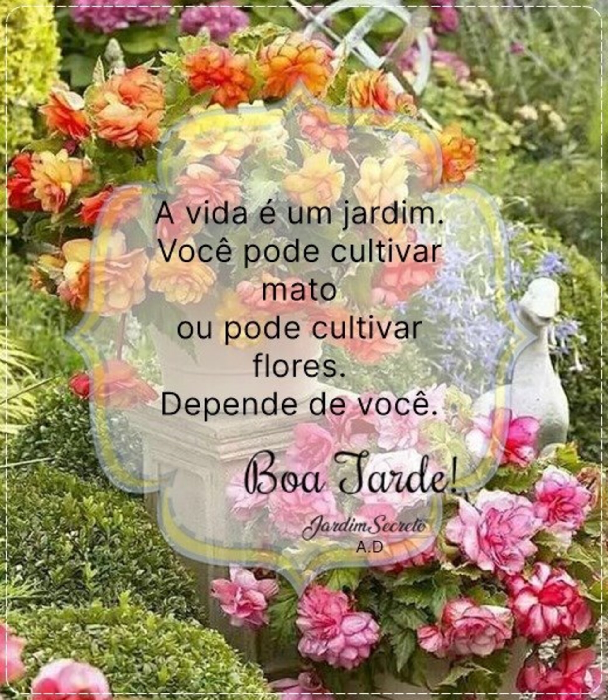 Feliz Tarde amigos de Facebook imagens lindas - PraHoje.net
