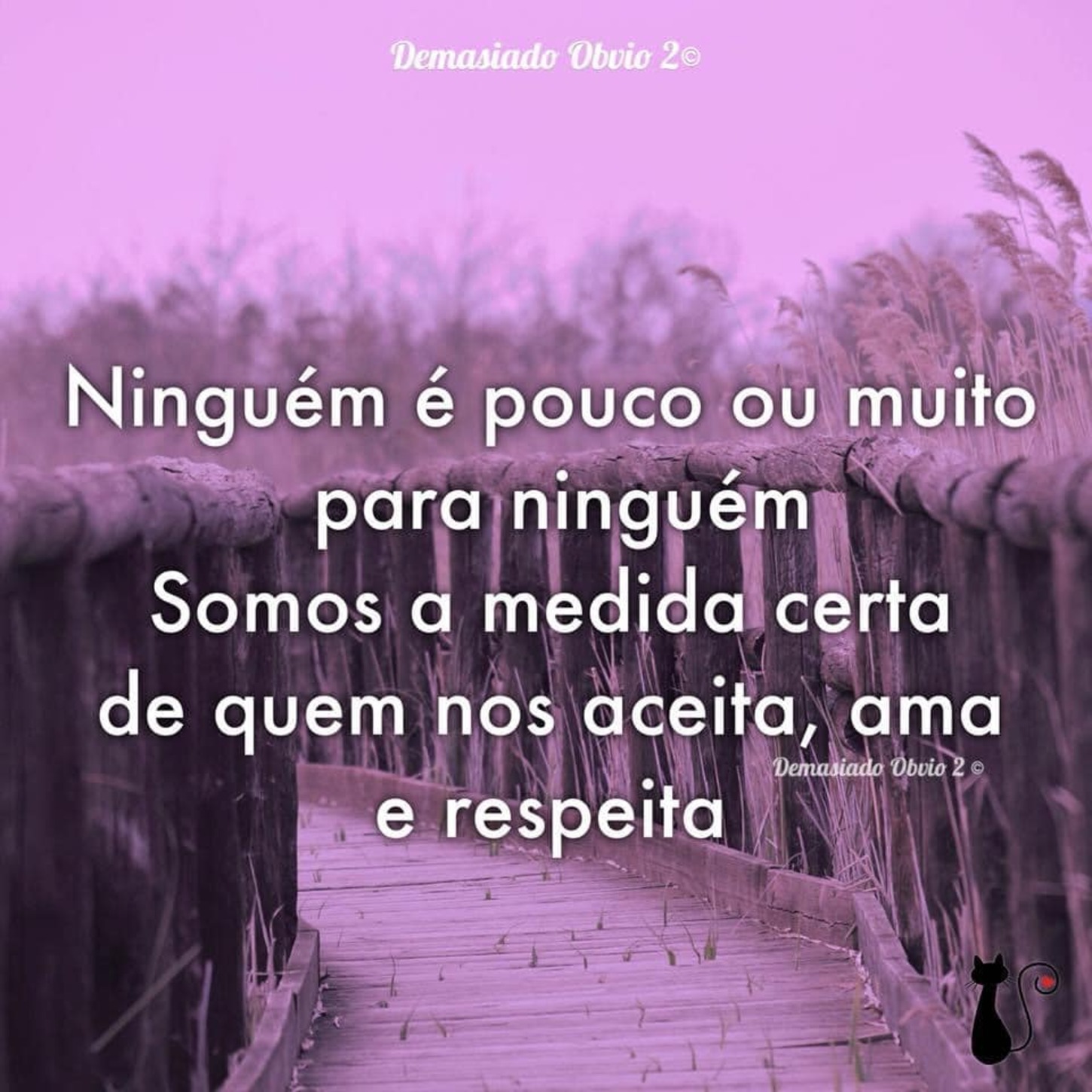 25 Frases Bonitas Para Compartilhar No Facebook