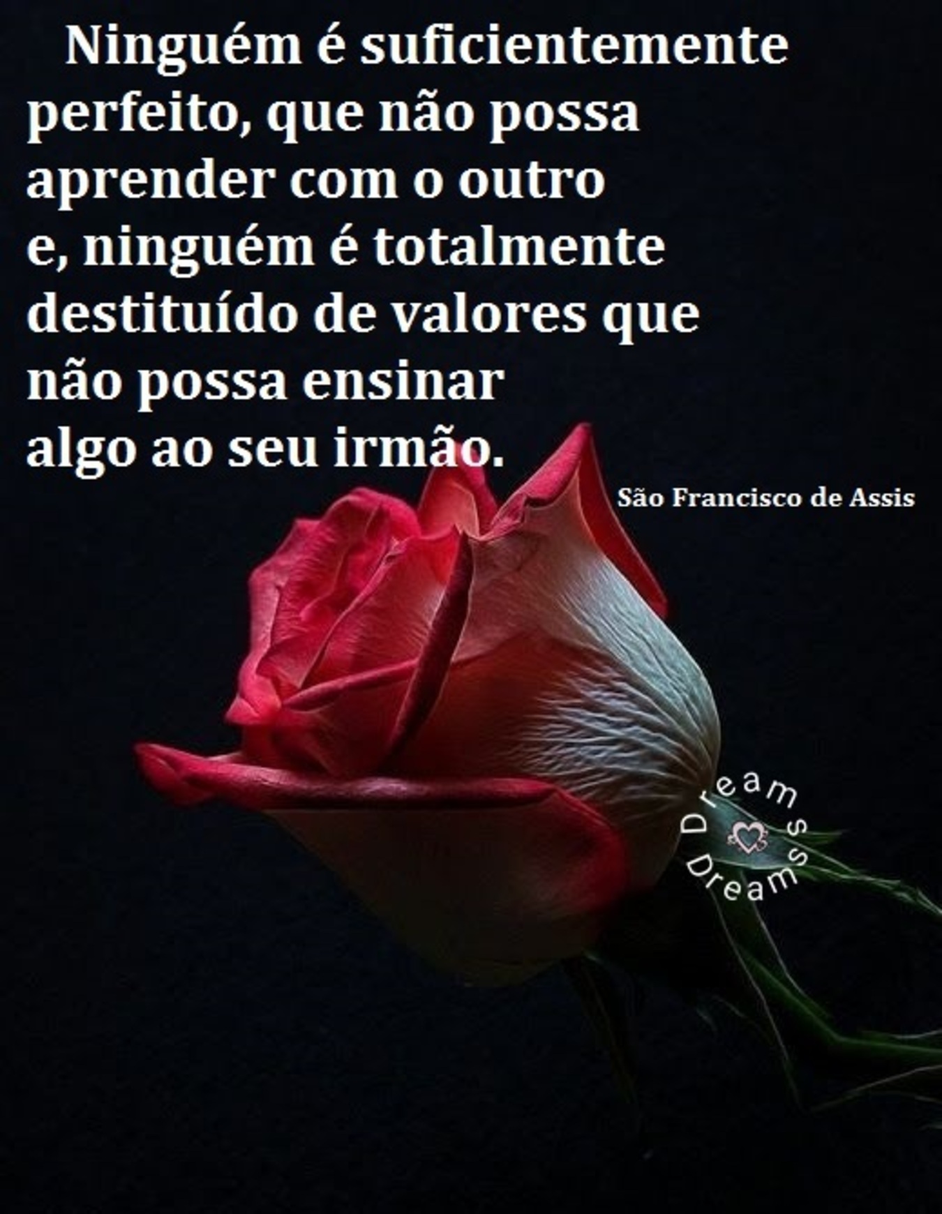 30 Frases famosas para compartilhar - PraHoje.net