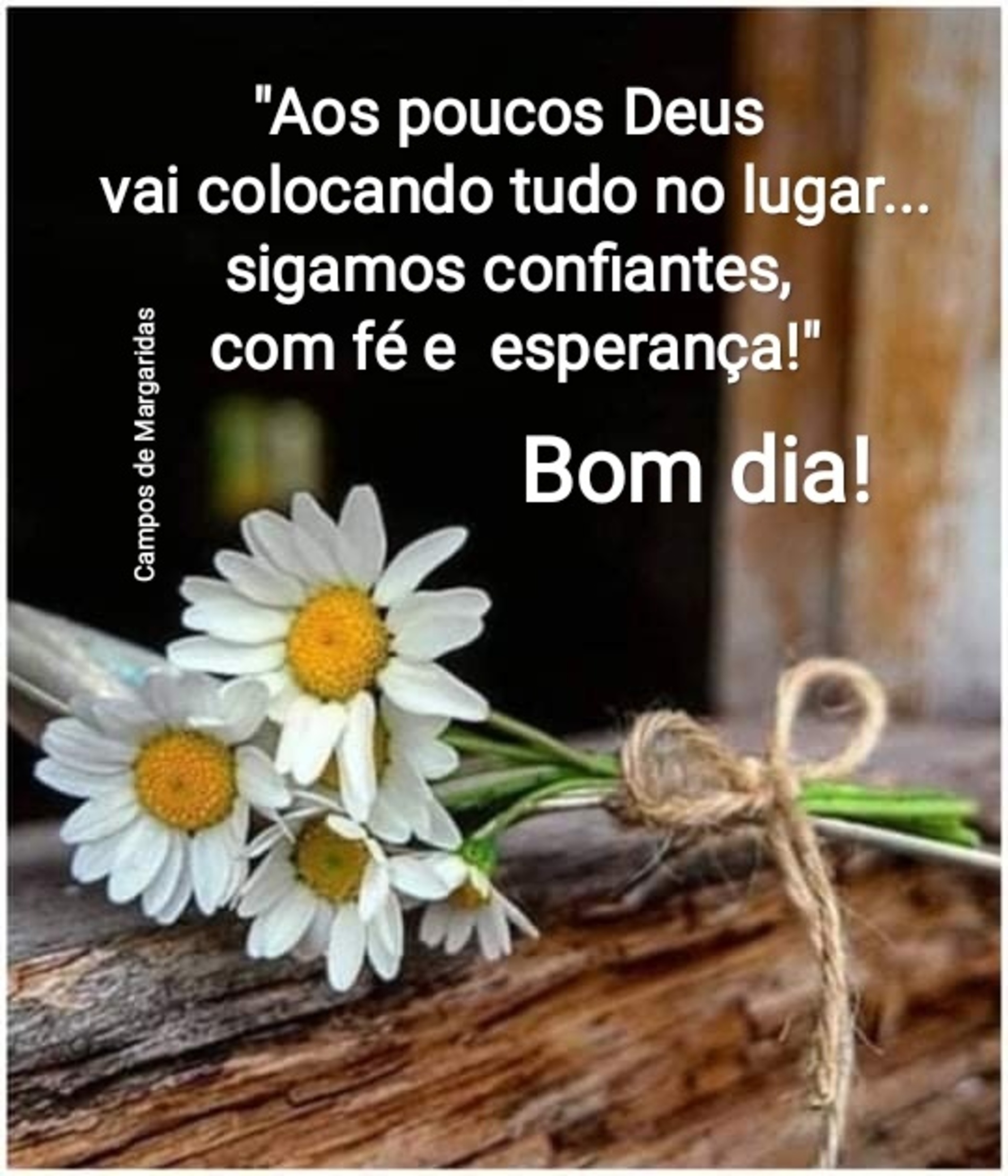 Um Lindo Dia Pra Voce - FDPLEARN