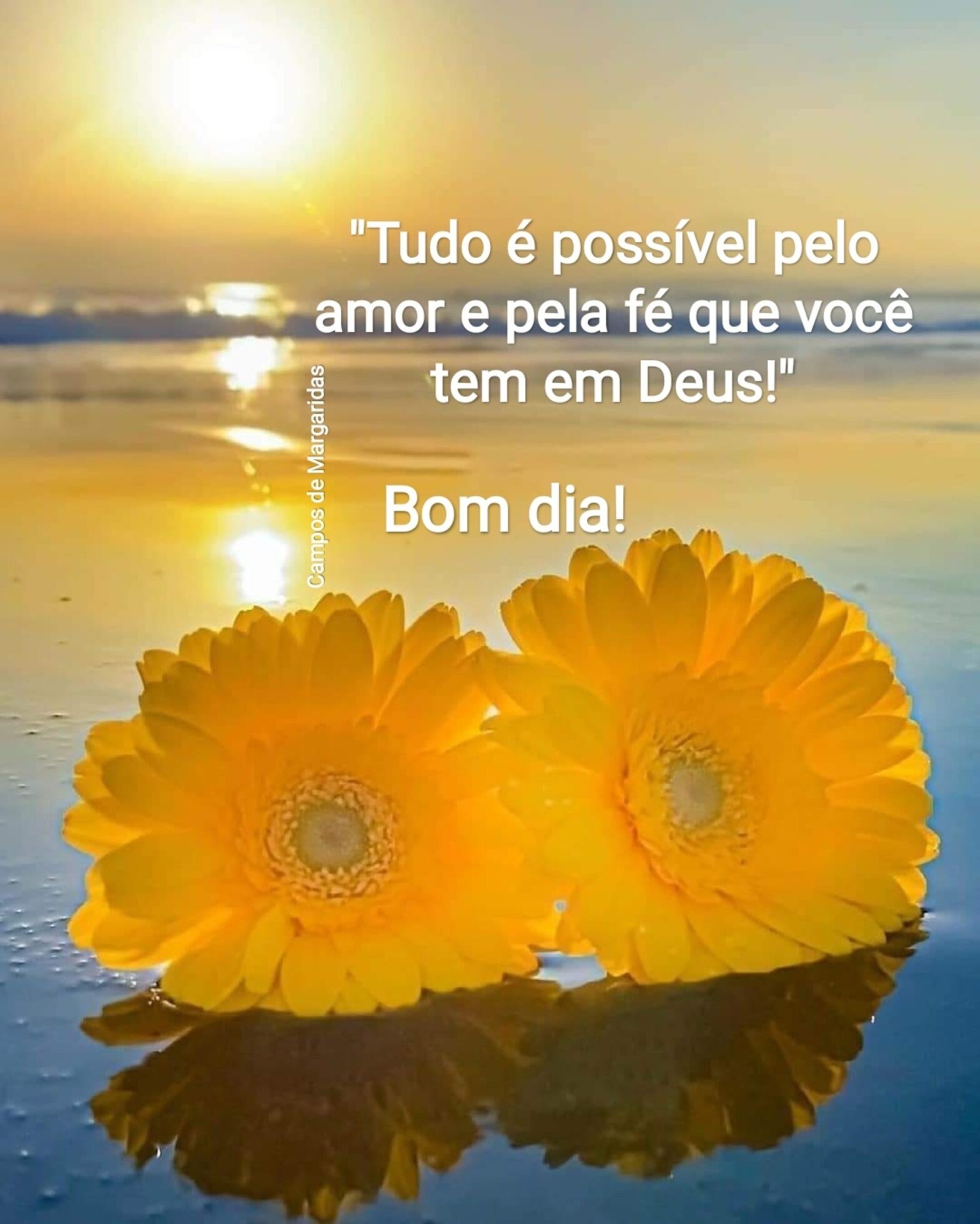 Lindo Dia pra você imagens belas - PraHoje.net