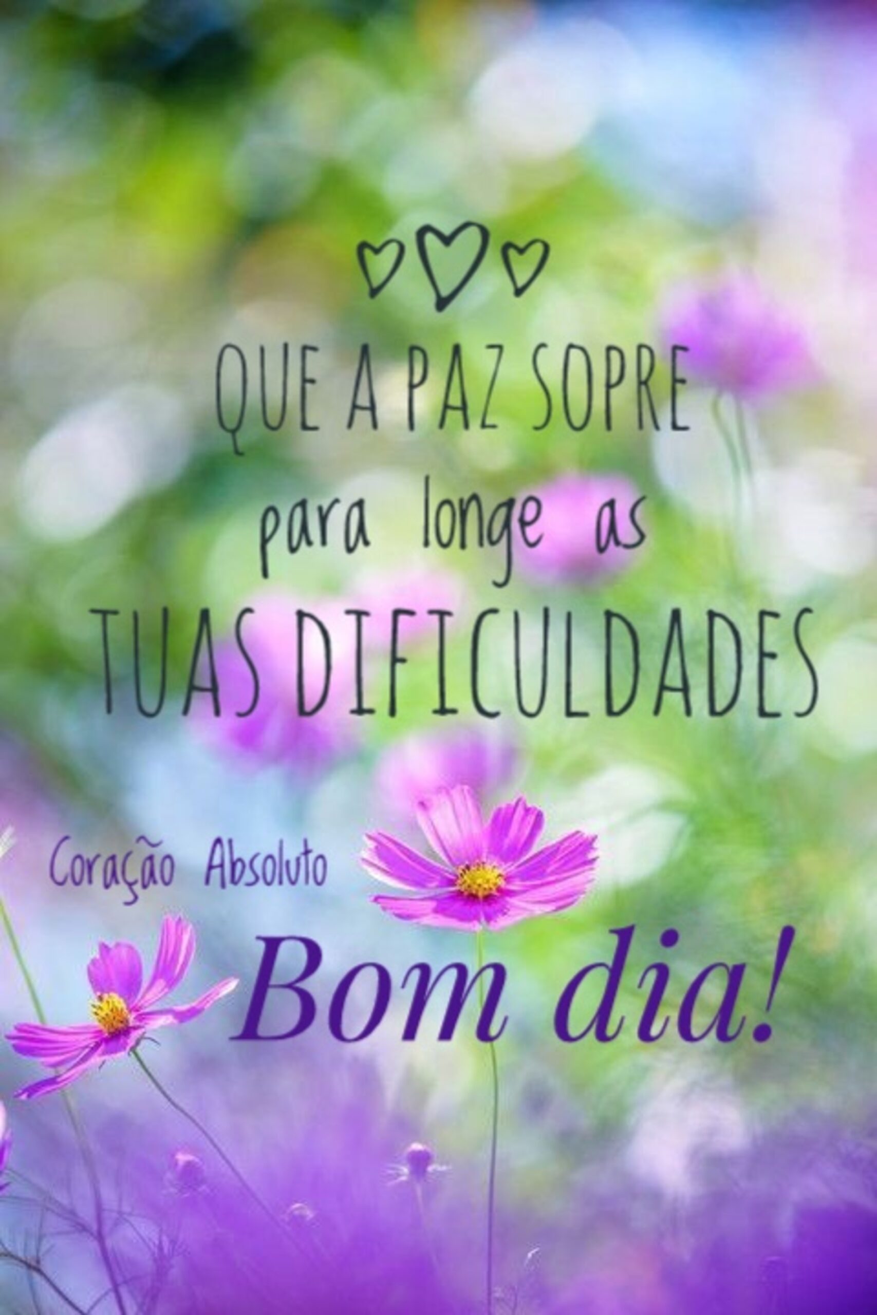 Um Lindo Dia Pra Voce - FDPLEARN