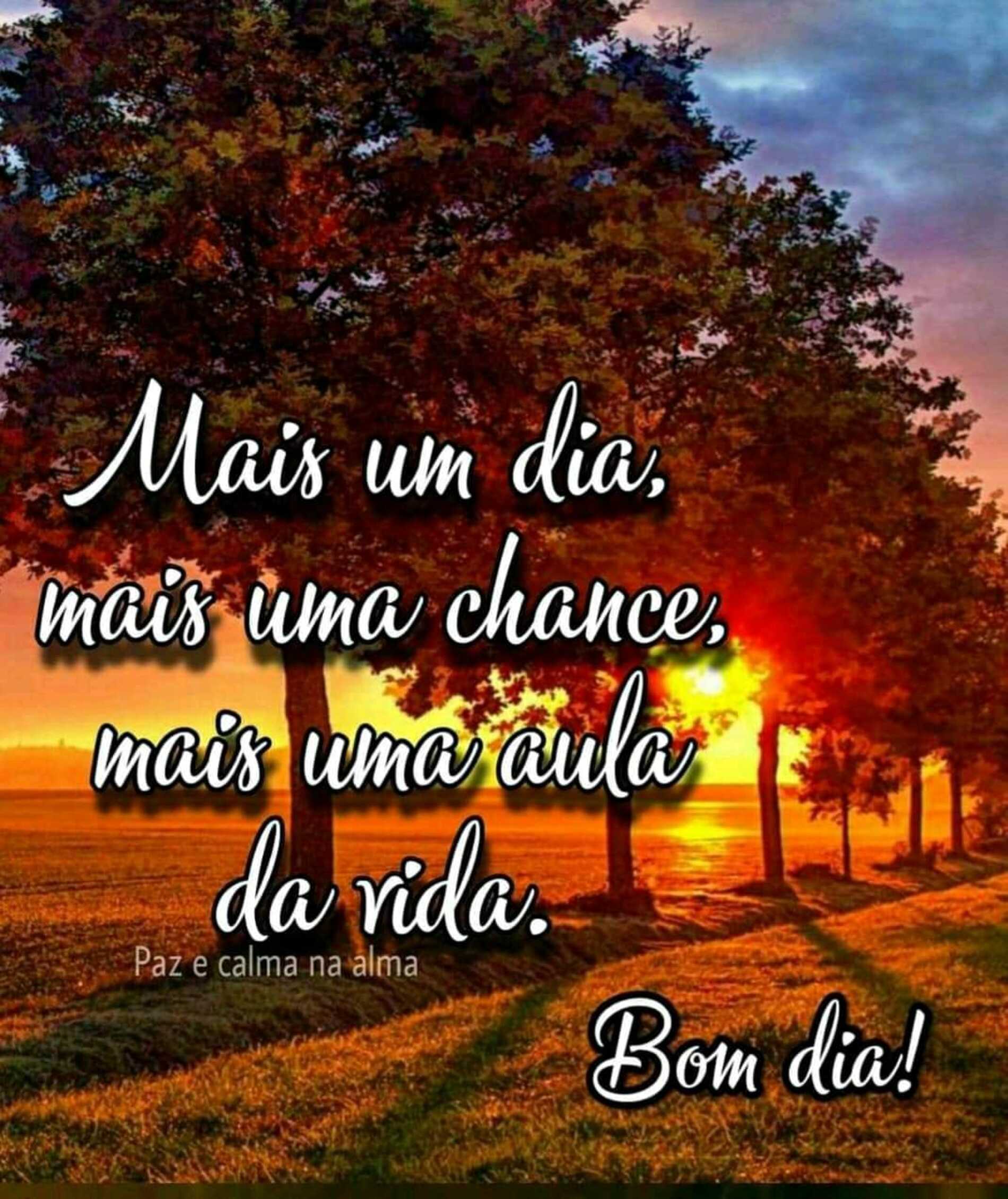 Lindo Dia pra você imagens belas - PraHoje.net