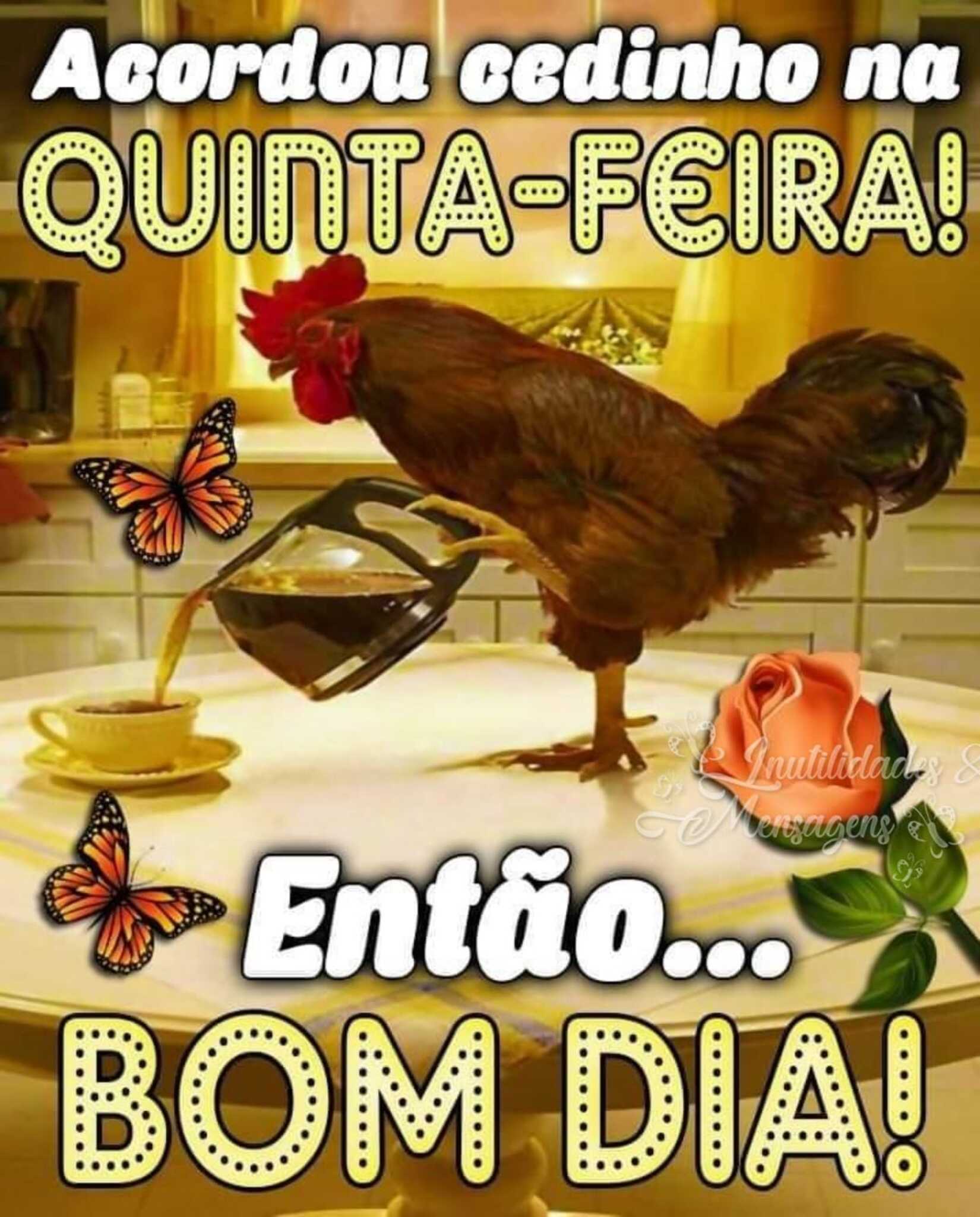 25 imagens lindas para Quinta-feira - PraHoje.net