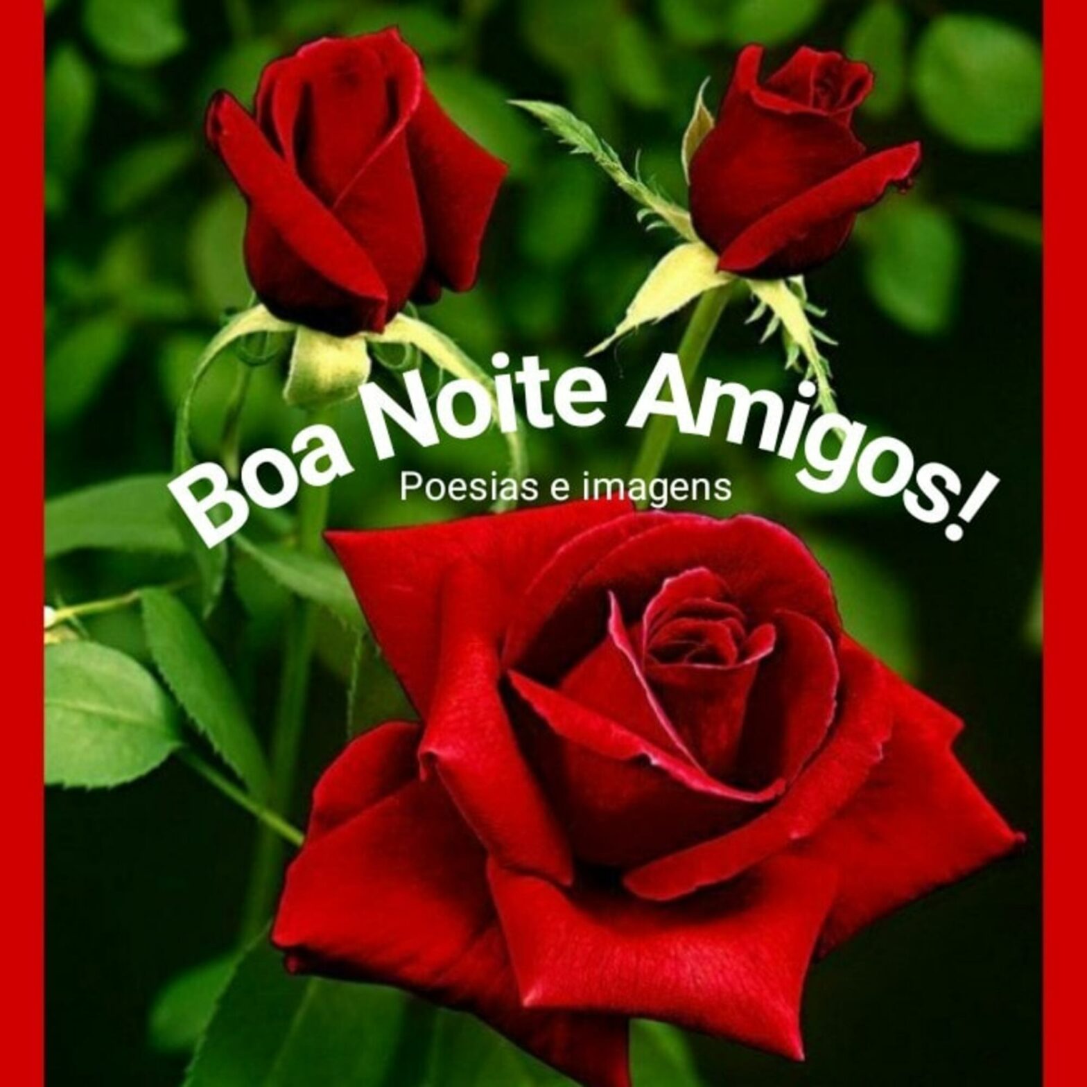 25+ Boa Noite belas imagens - PraHoje.net