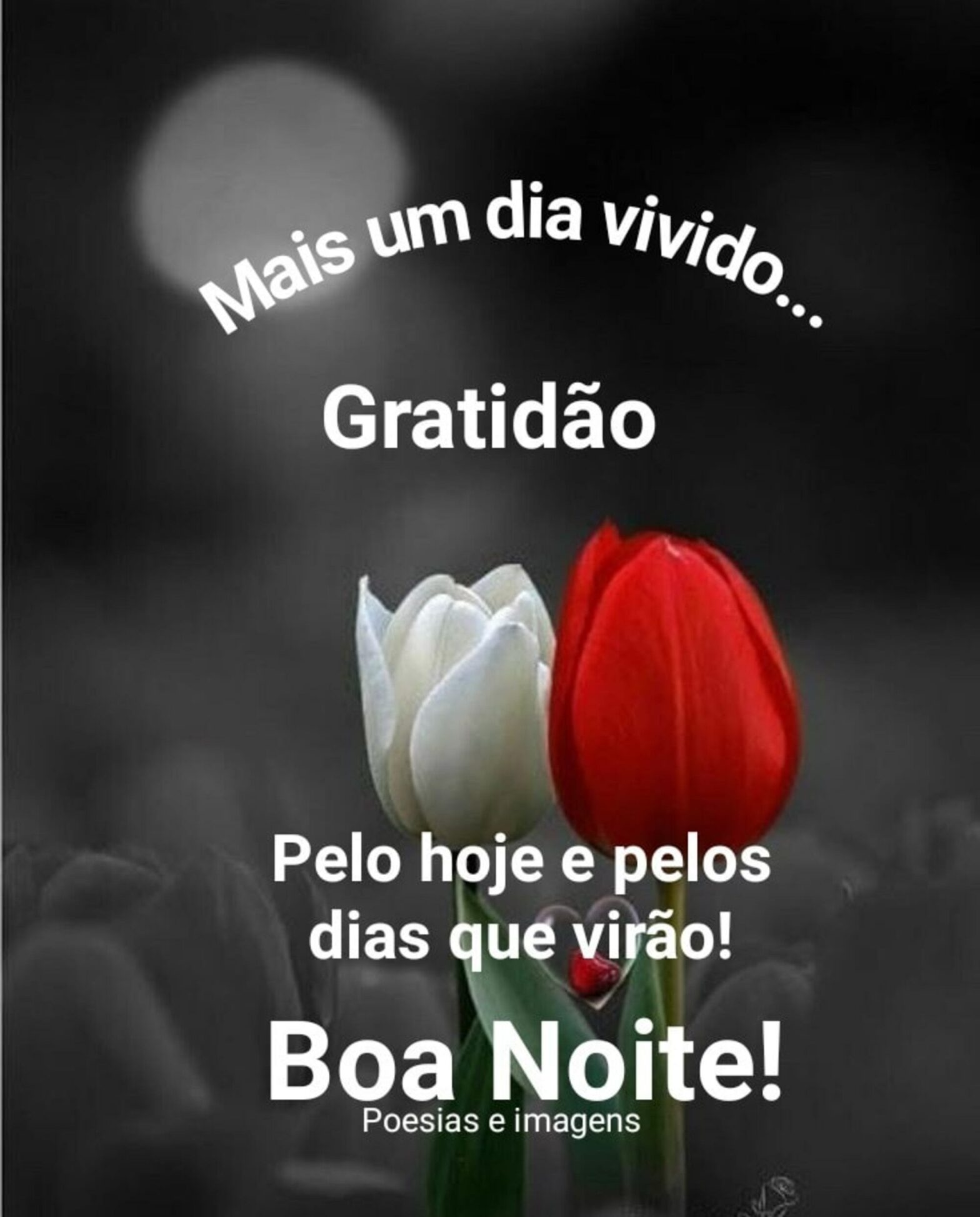 Boa Noite lindas imagens e frases - PraHoje.net