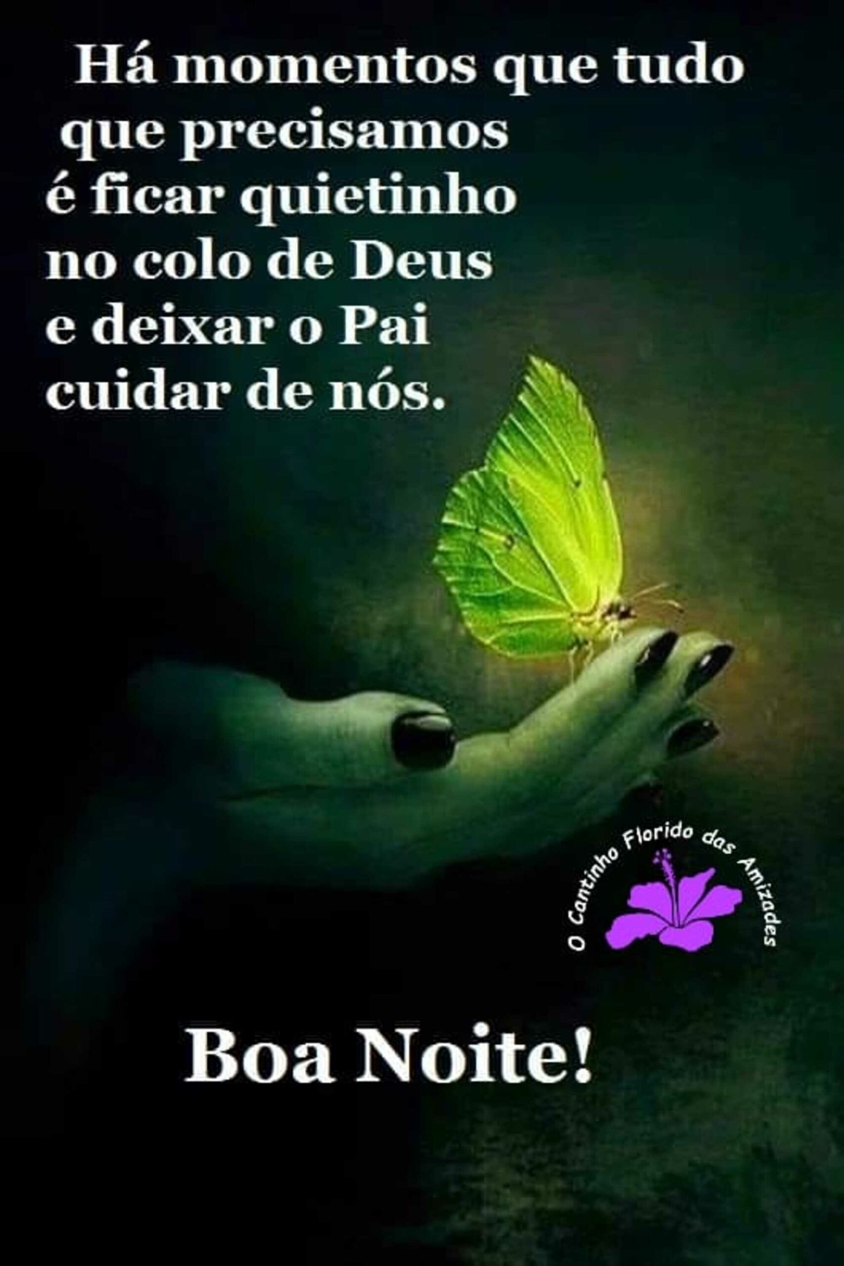 Boa Noite lindas imagens e frases - PraHoje.net