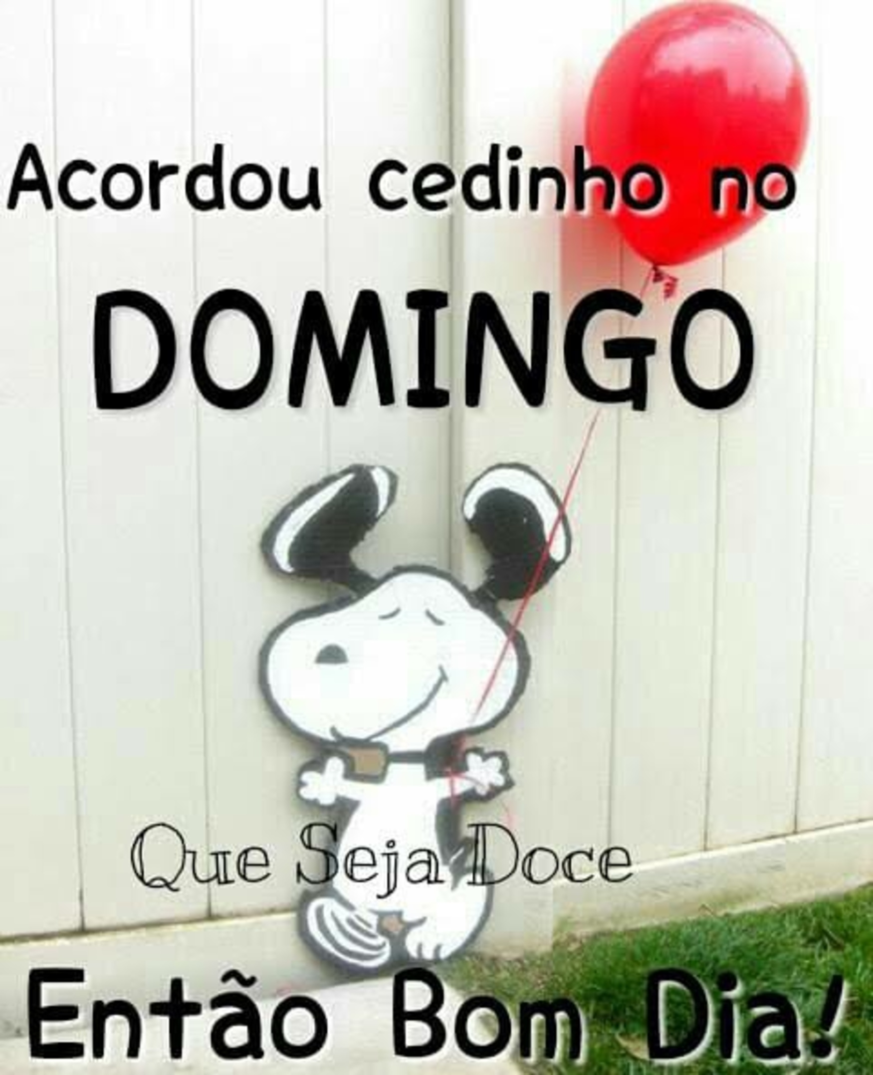 Bom Dia Domingo imagens bonitas - PraHoje.net