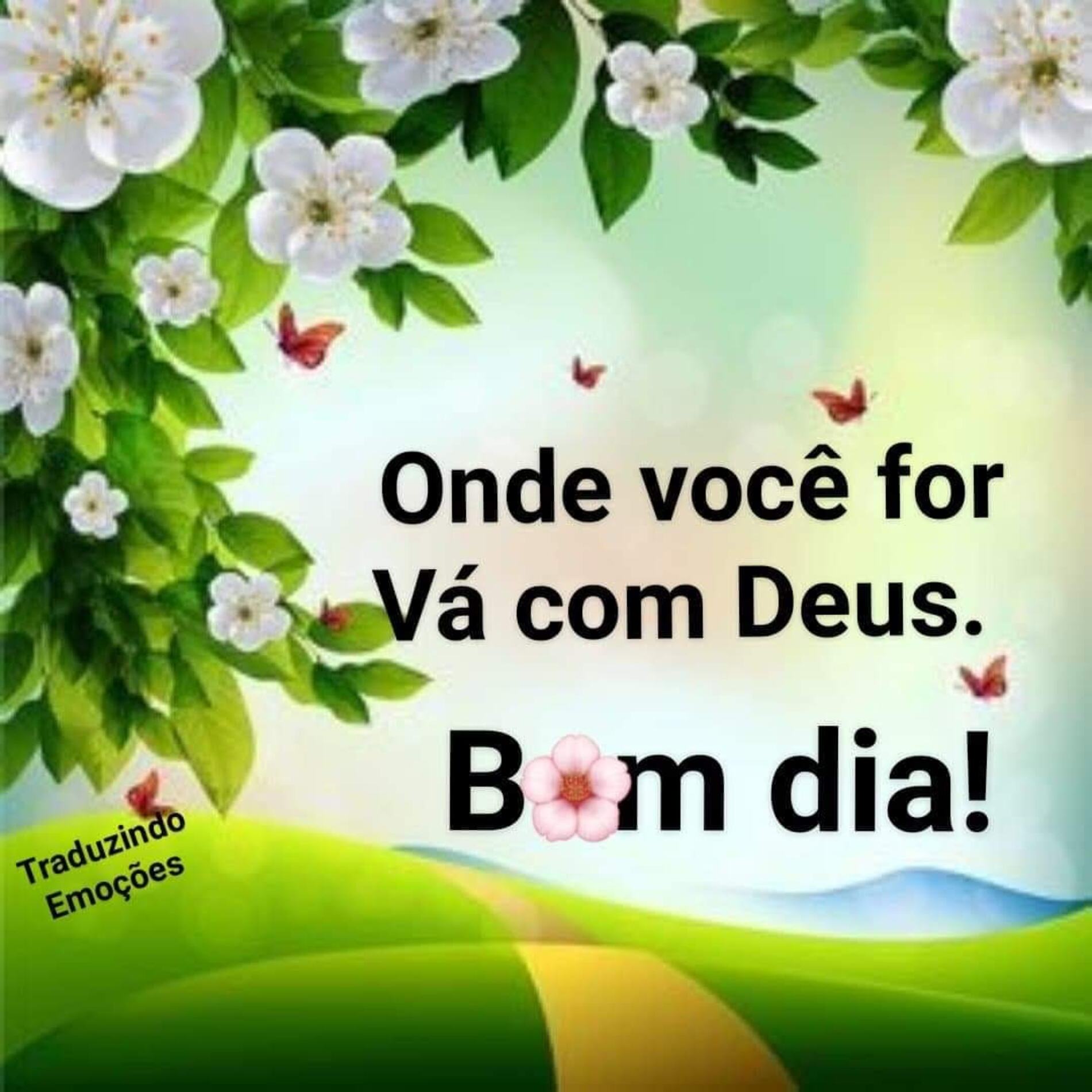 20 Novas imagens de Bom Dia - PraHoje.net