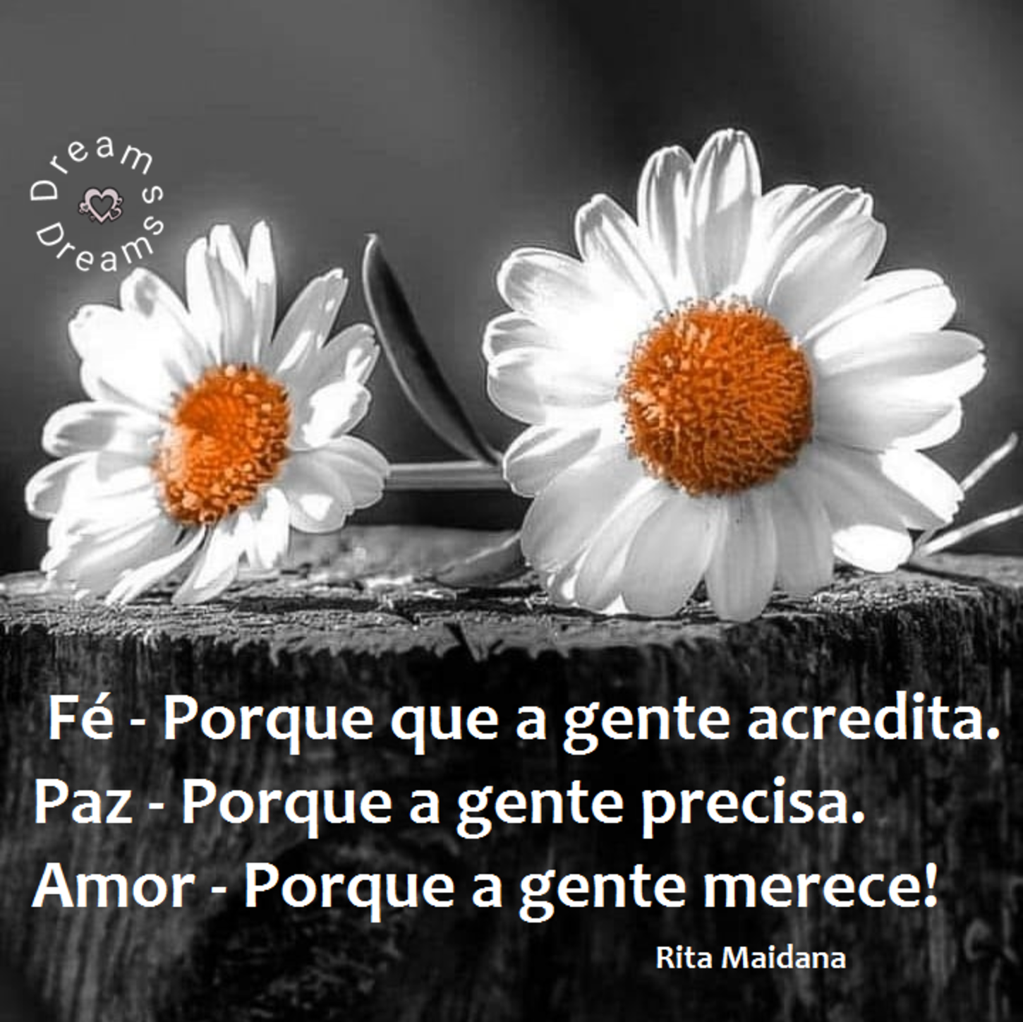 Frases bonitas para refletir - PraHoje.net