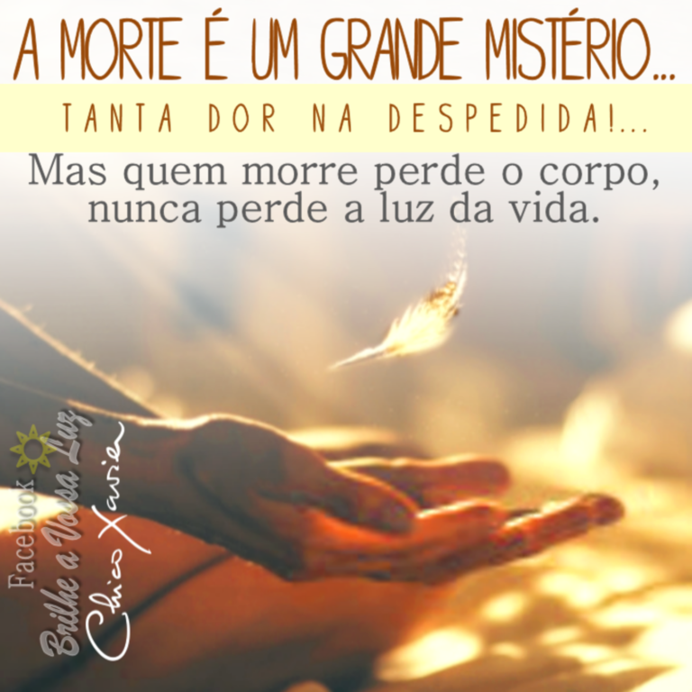 Frases Bonitas Para Refletir Prahoje Net