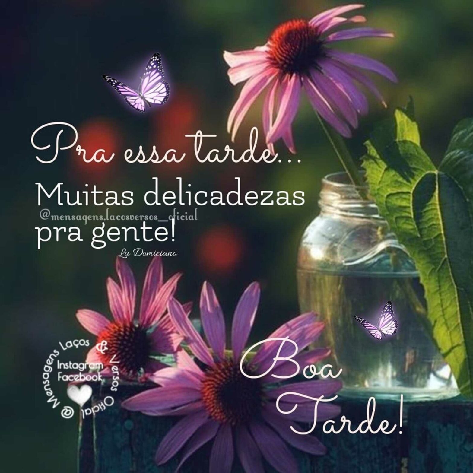 19 Frases de Boa Tarde para amigos - PraHoje.net