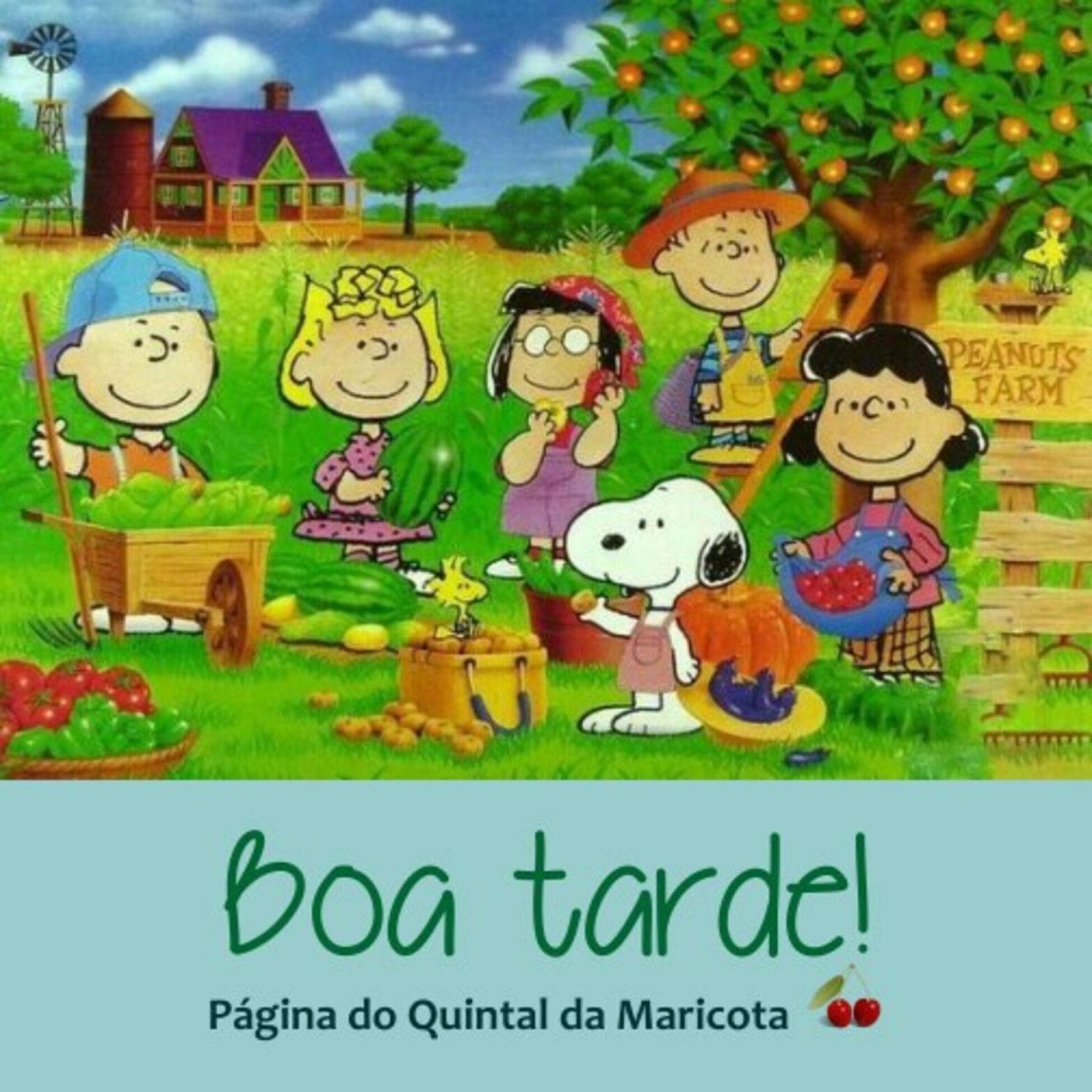 19 Frases de Boa Tarde para amigos - PraHoje.net