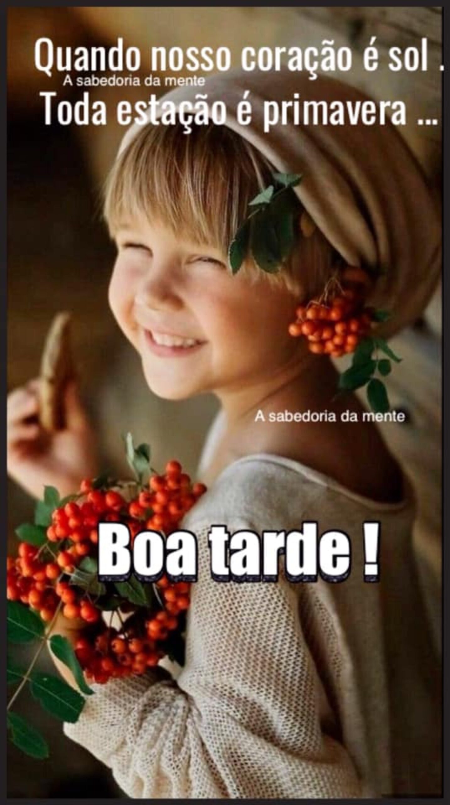 19 Frases de Boa Tarde para amigos - PraHoje.net