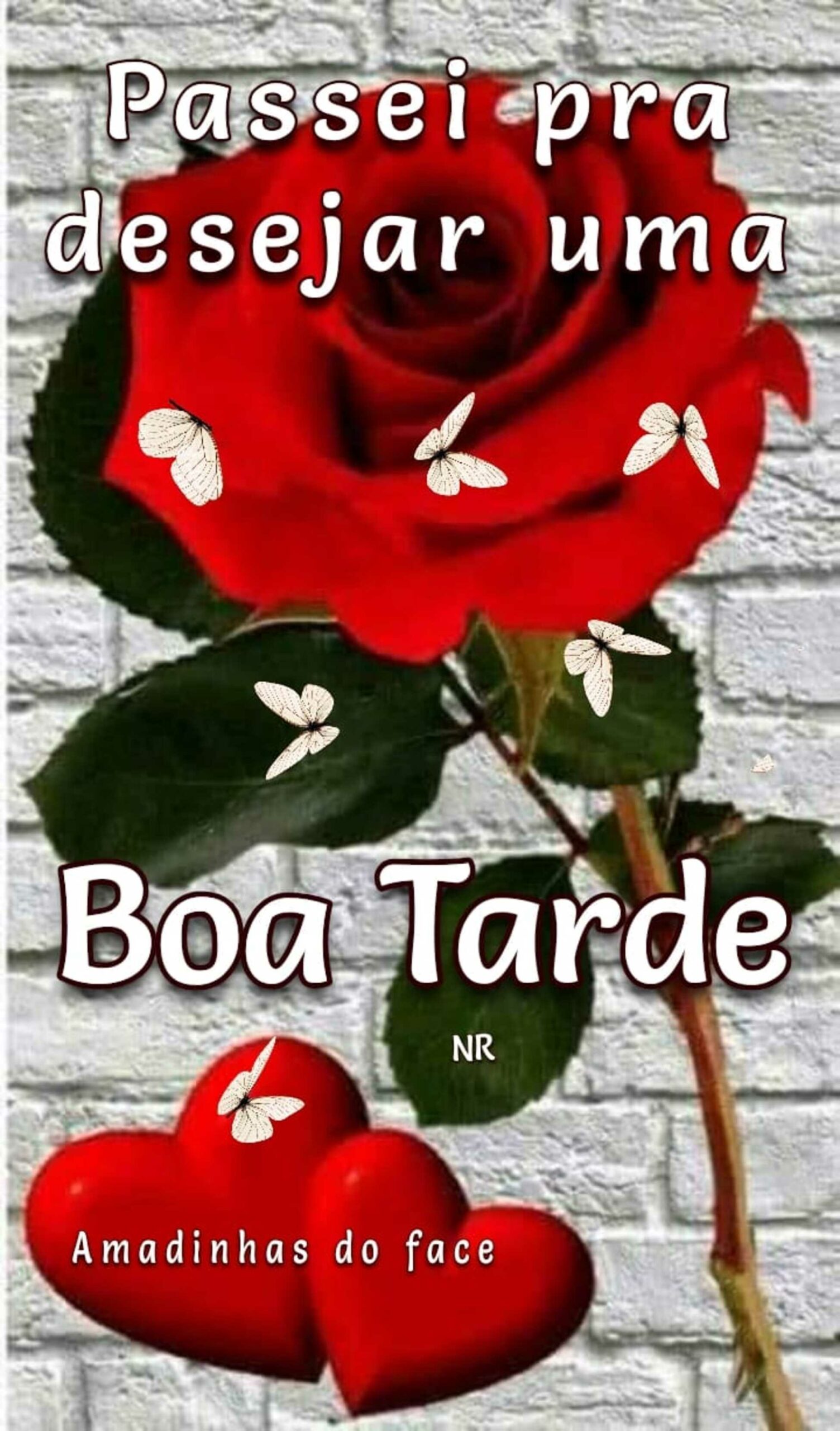 19 Frases de Boa Tarde para amigos - PraHoje.net