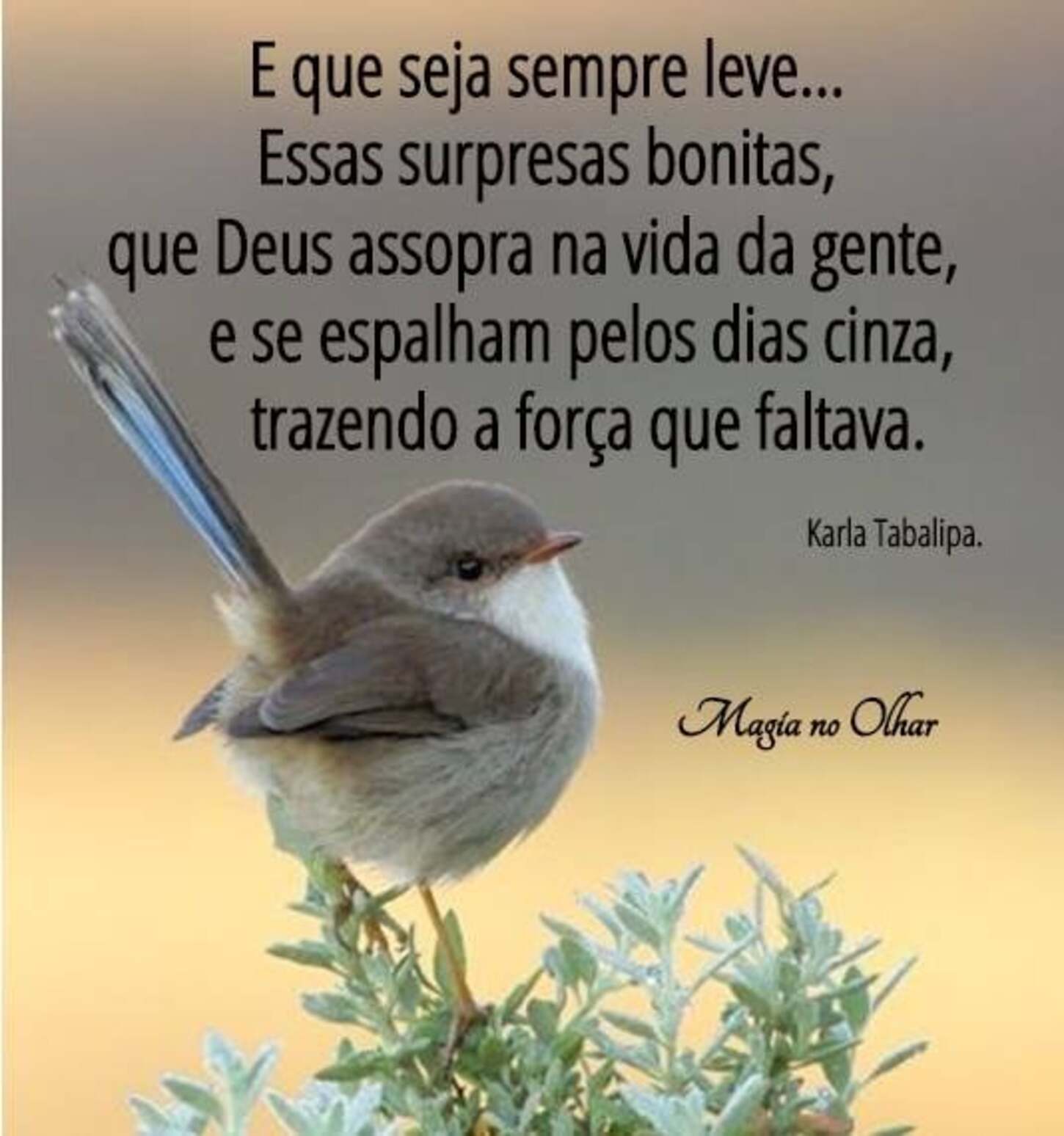 27 Frases originais - PraHoje.net