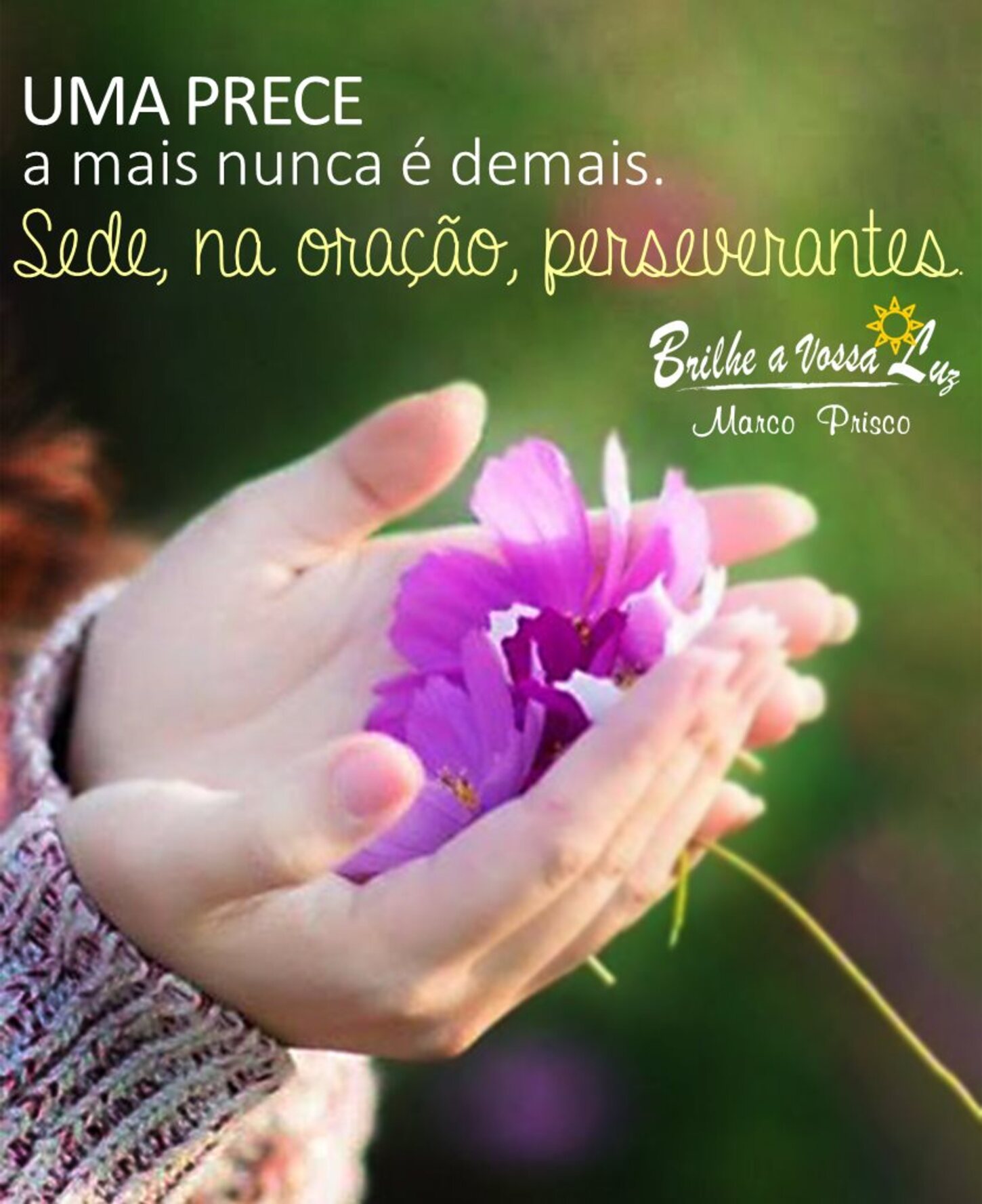 27 Frases originais - PraHoje.net