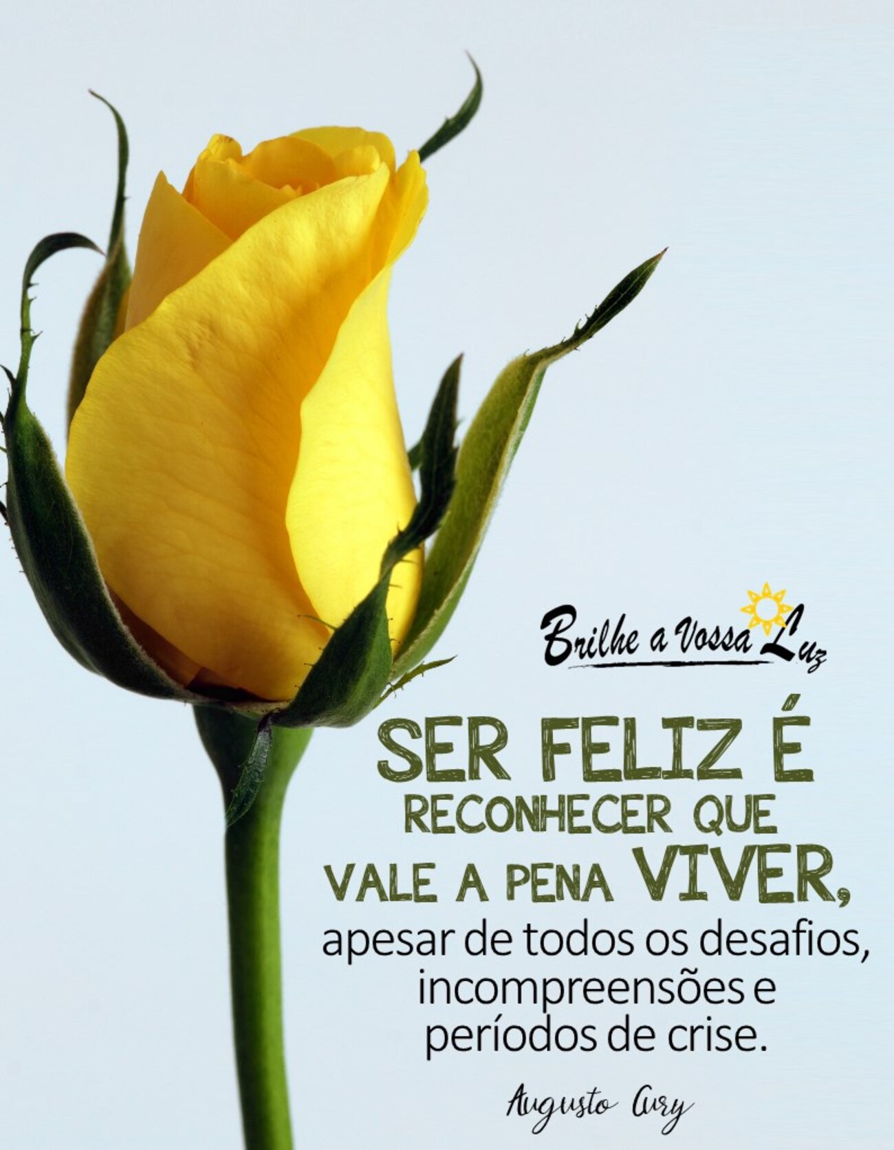 20+ Frases sobre a vida - PraHoje.net