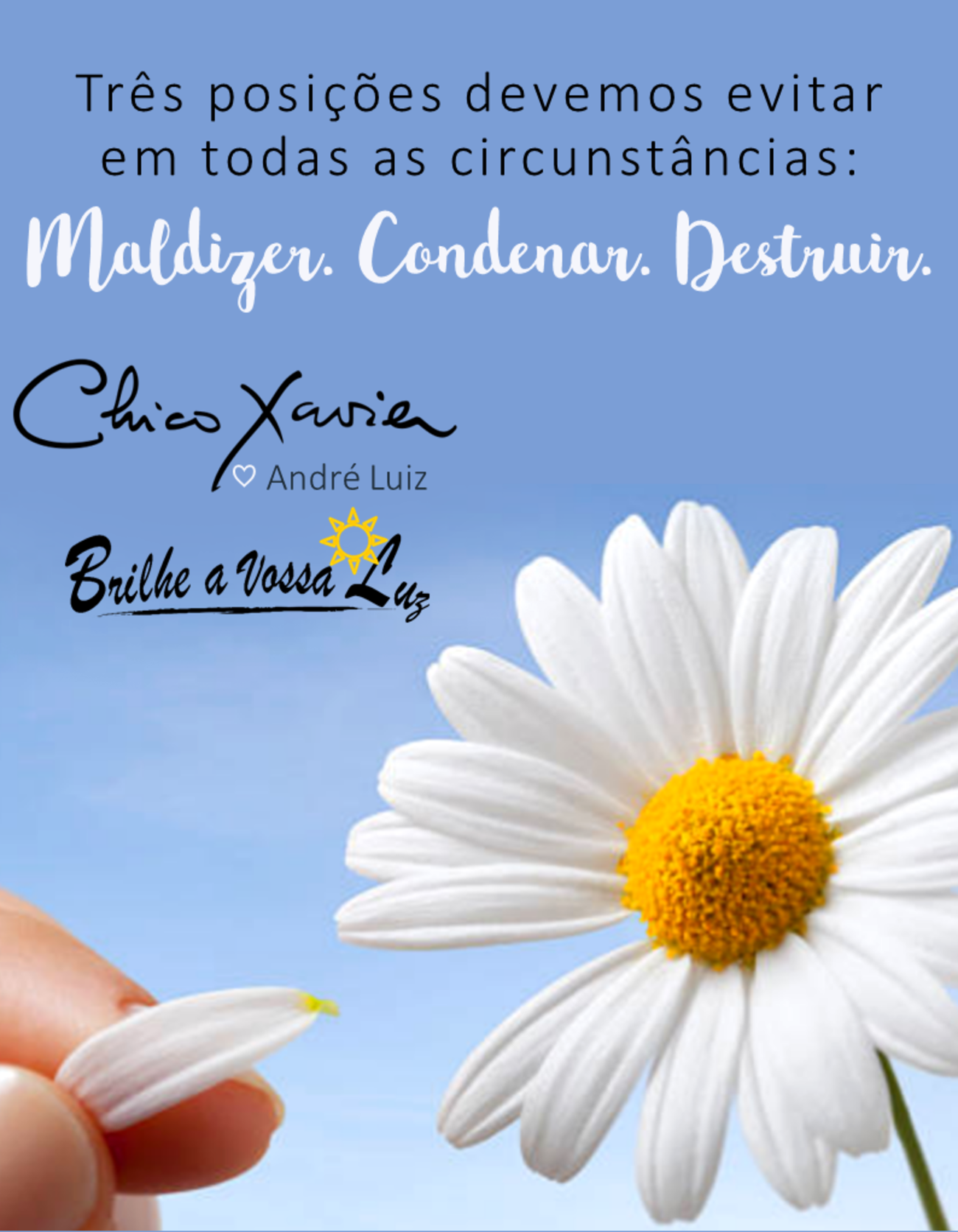 20+ Frases sobre a vida - PraHoje.net