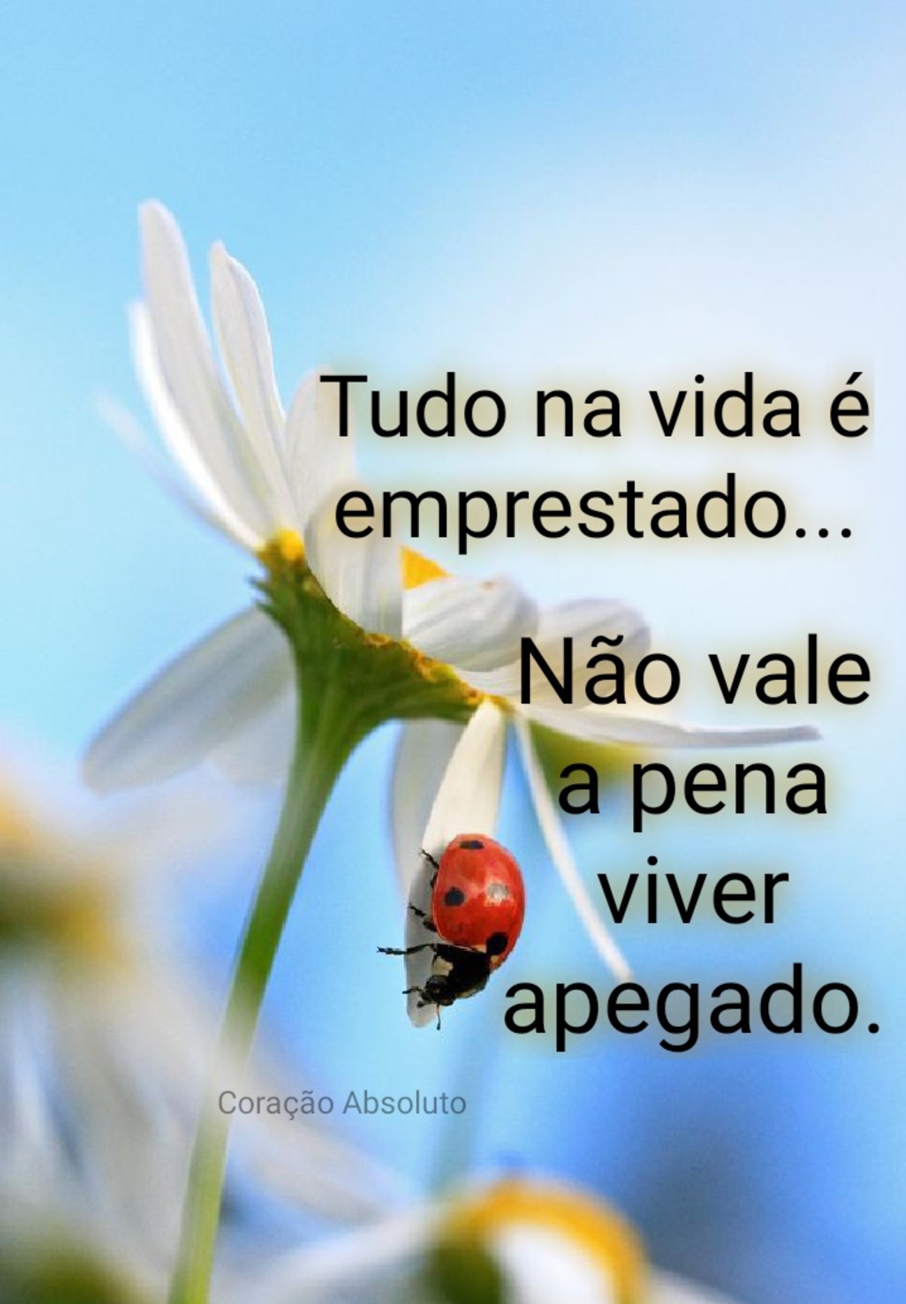 20+ Frases sobre a vida - PraHoje.net