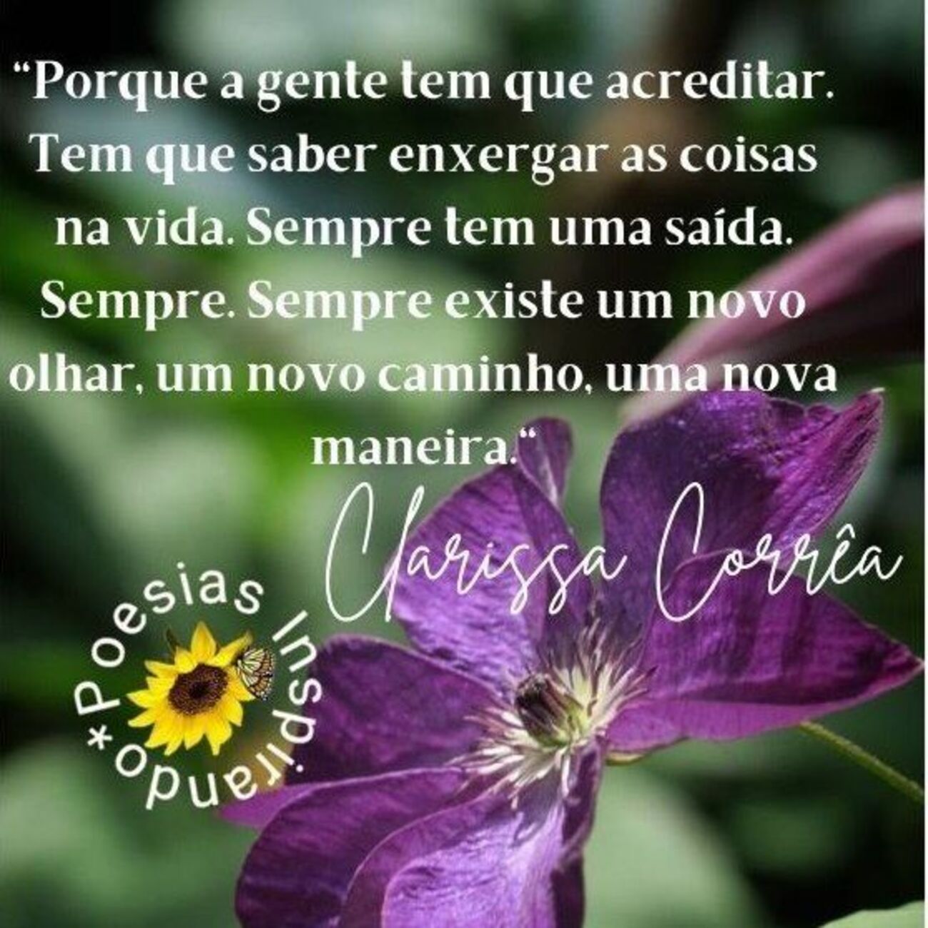 20+ Frases sobre a vida - PraHoje.net