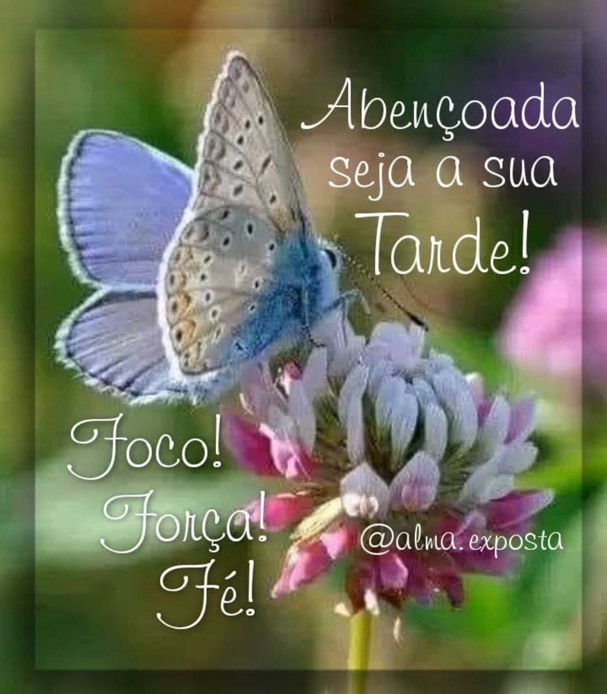 25 Novas imagens bonitas para Boa Tarde - PraHoje.net