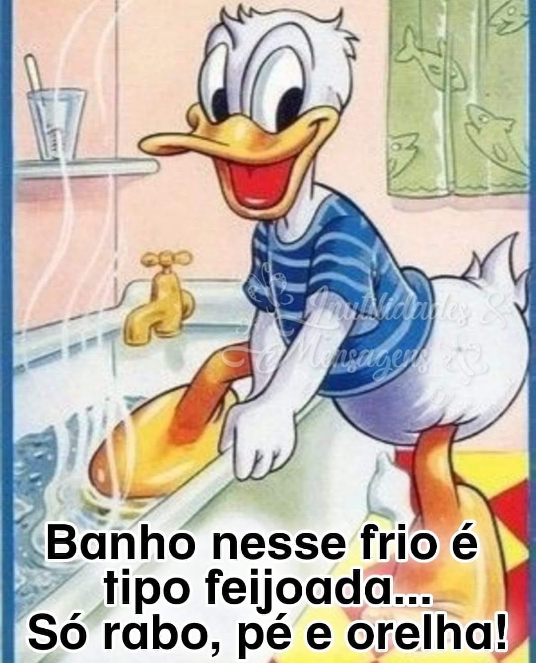 13 Imagens Engraçadas Novas Prahoje Net