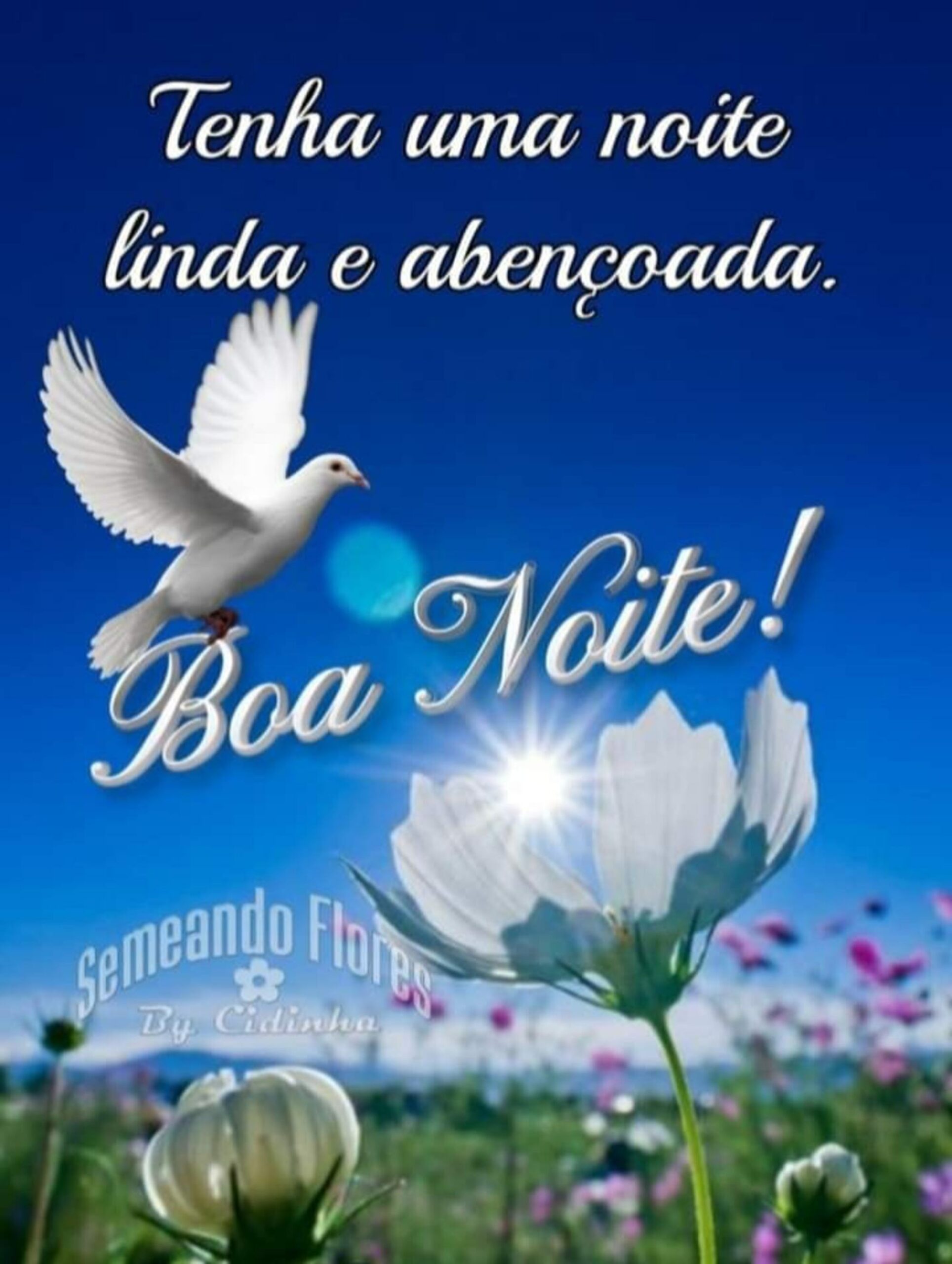 Imagens De Boa Noite Pinterest Prahoje Net