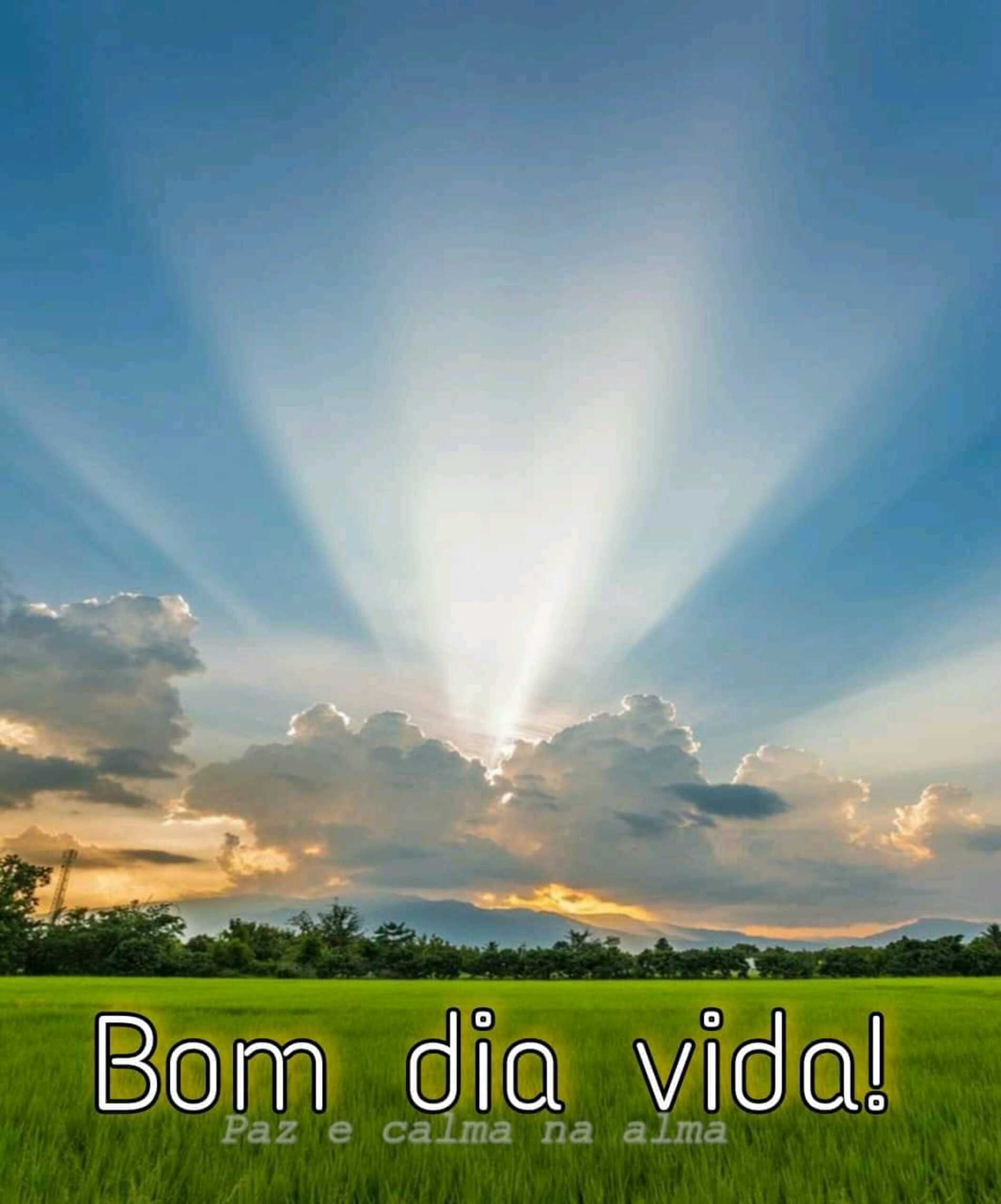 Imagens lindas de Bom Dia - PraHoje.net