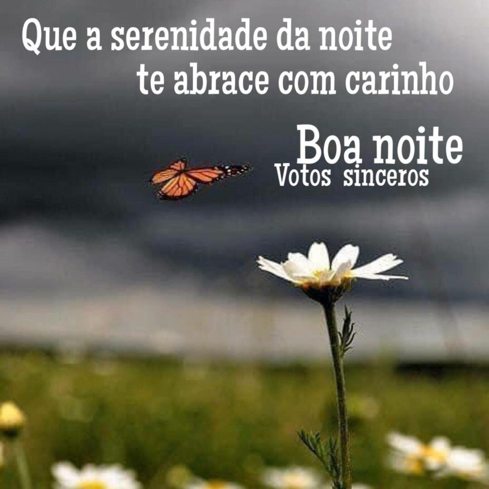 13 Lindas mensagens de Boa Noite - PraHoje.net