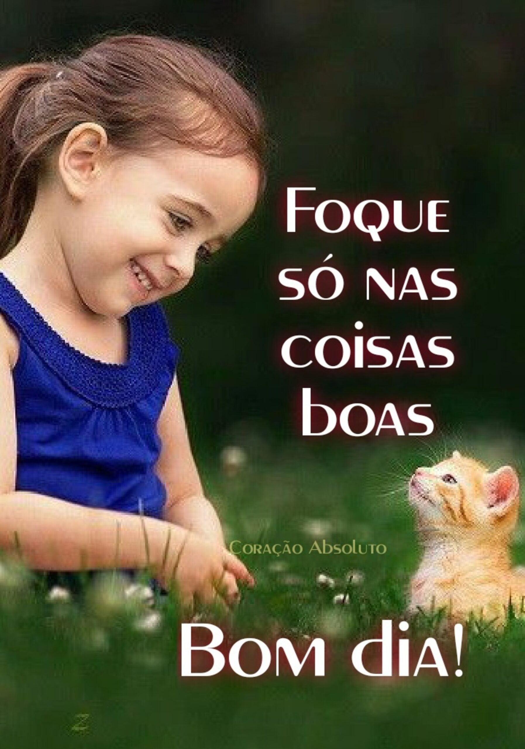 25 Mensagens de Bom Dia - PraHoje.net