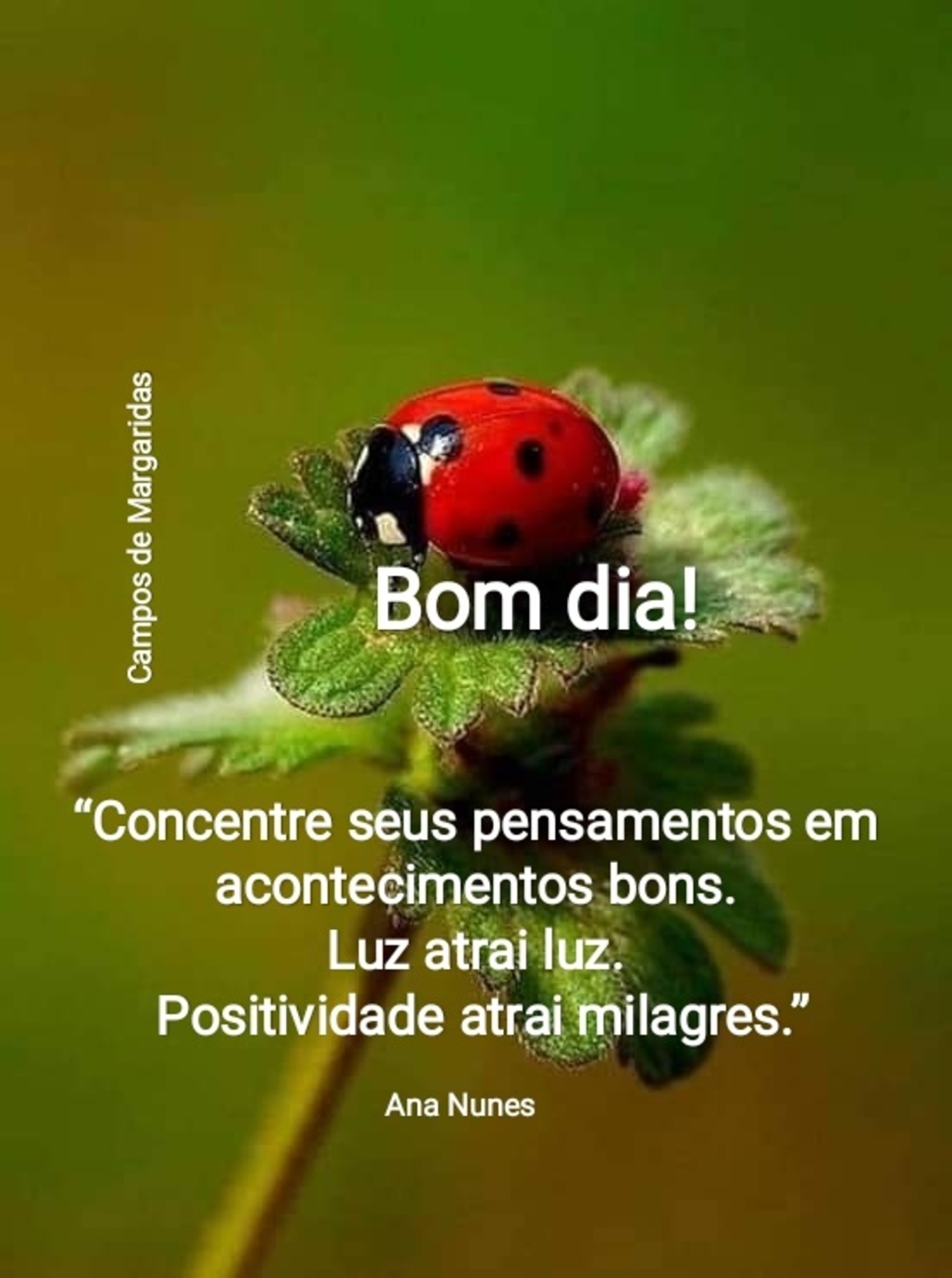 25 Mensagens de Bom Dia - PraHoje.net