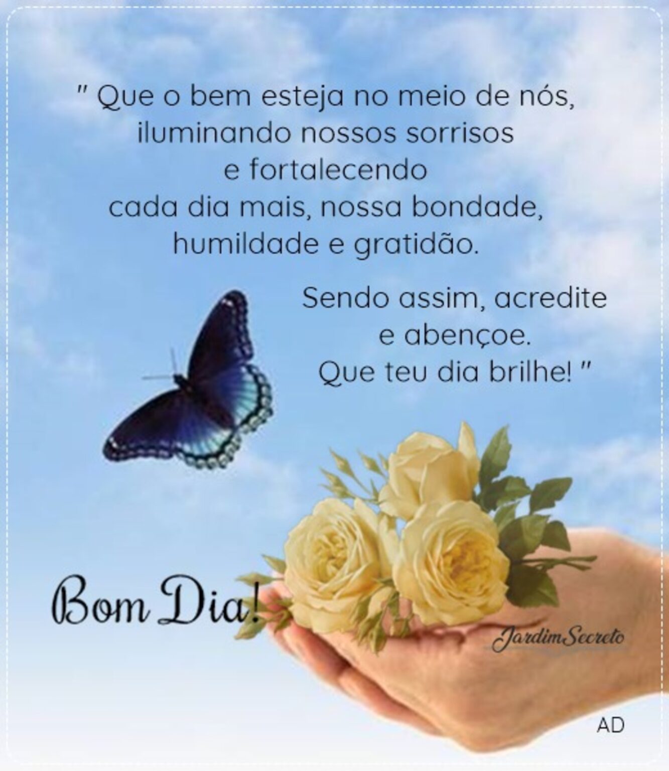 25 Mensagens de Bom Dia - PraHoje.net