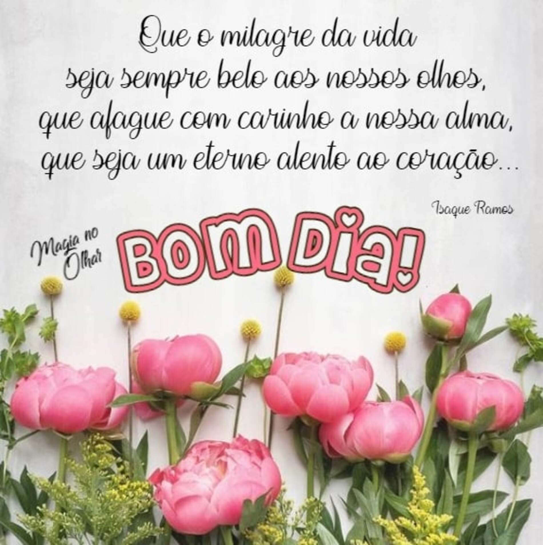 25 Mensagens de Bom Dia - PraHoje.net