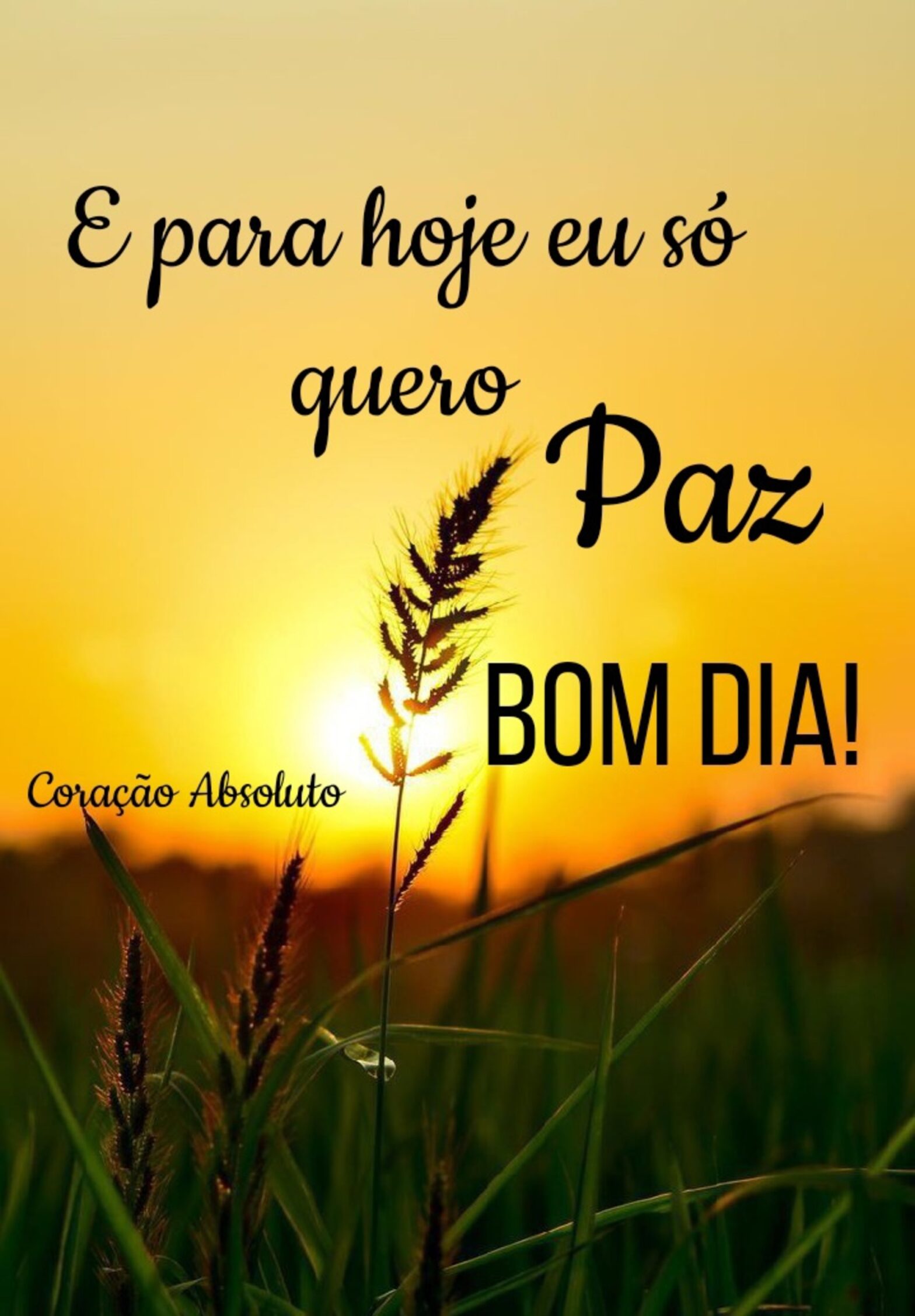 Mensagens imagens e frases de Bom Dia - PraHoje.net