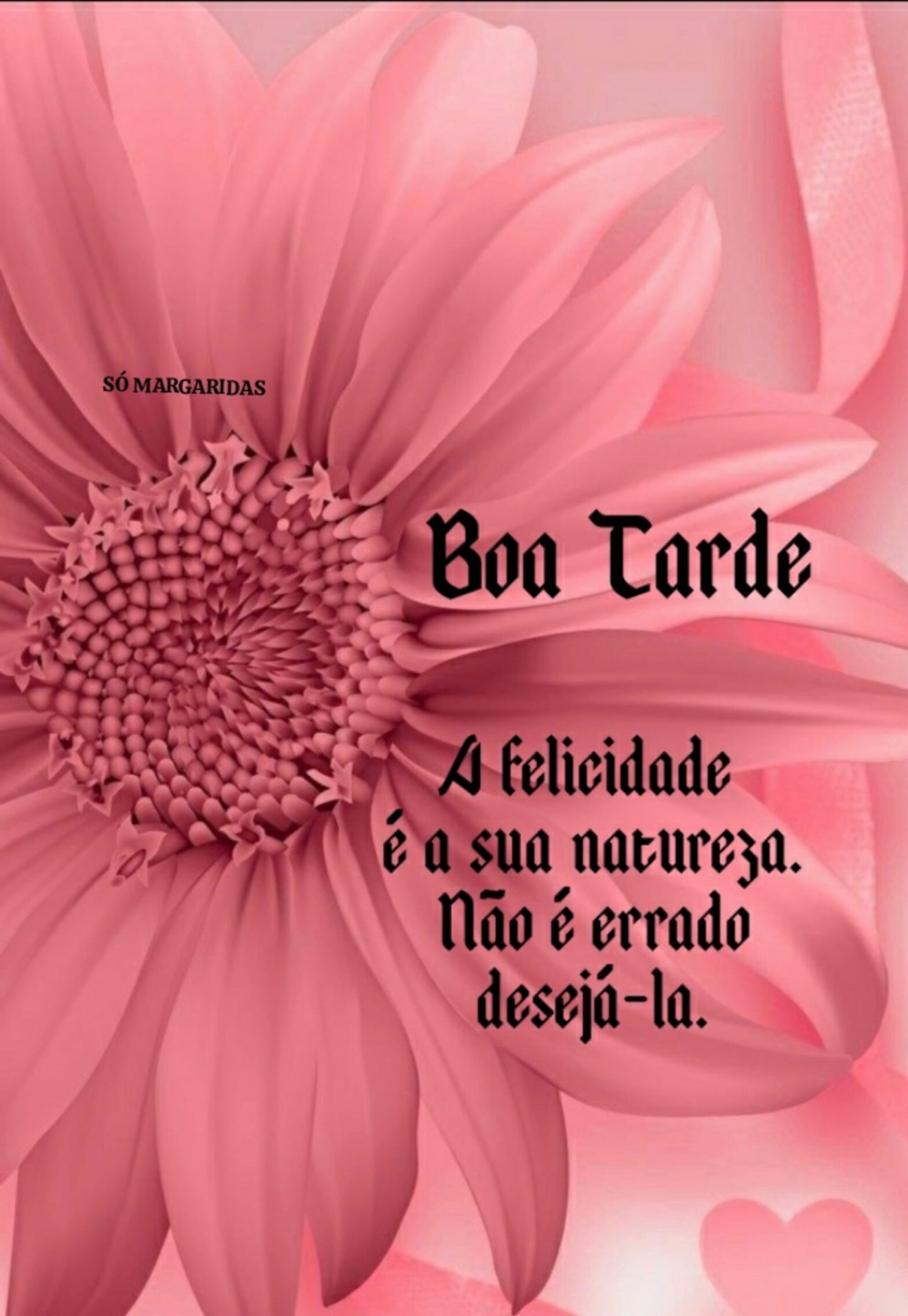 25 Mensagens para WhatsApp de Boa Tarde - PraHoje.net