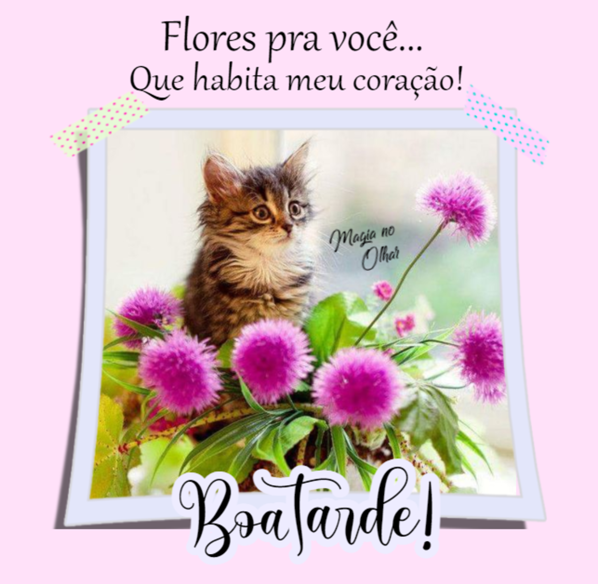 25+ novas imagens pra dizer Ótima Tarde - PraHoje.net