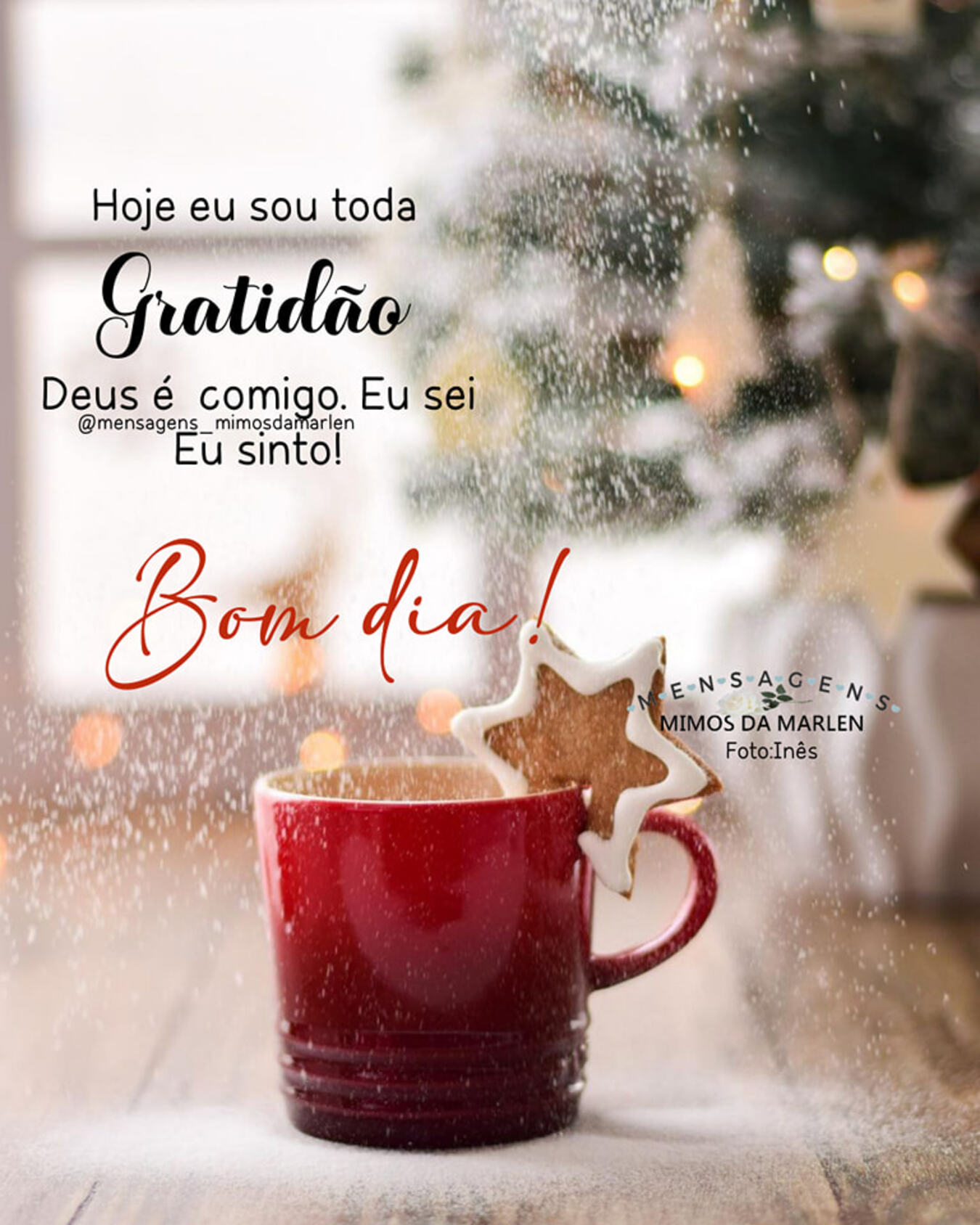 24 novas imagens para Bom Dia Natal - PraHoje.net