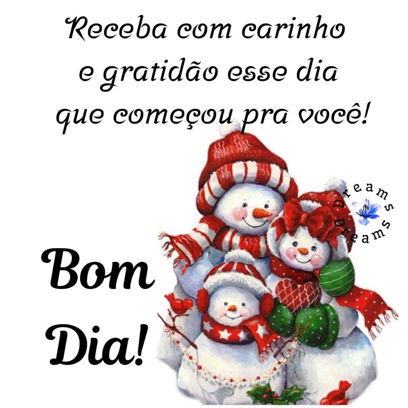 24 novas imagens para Bom Dia Natal - PraHoje.net