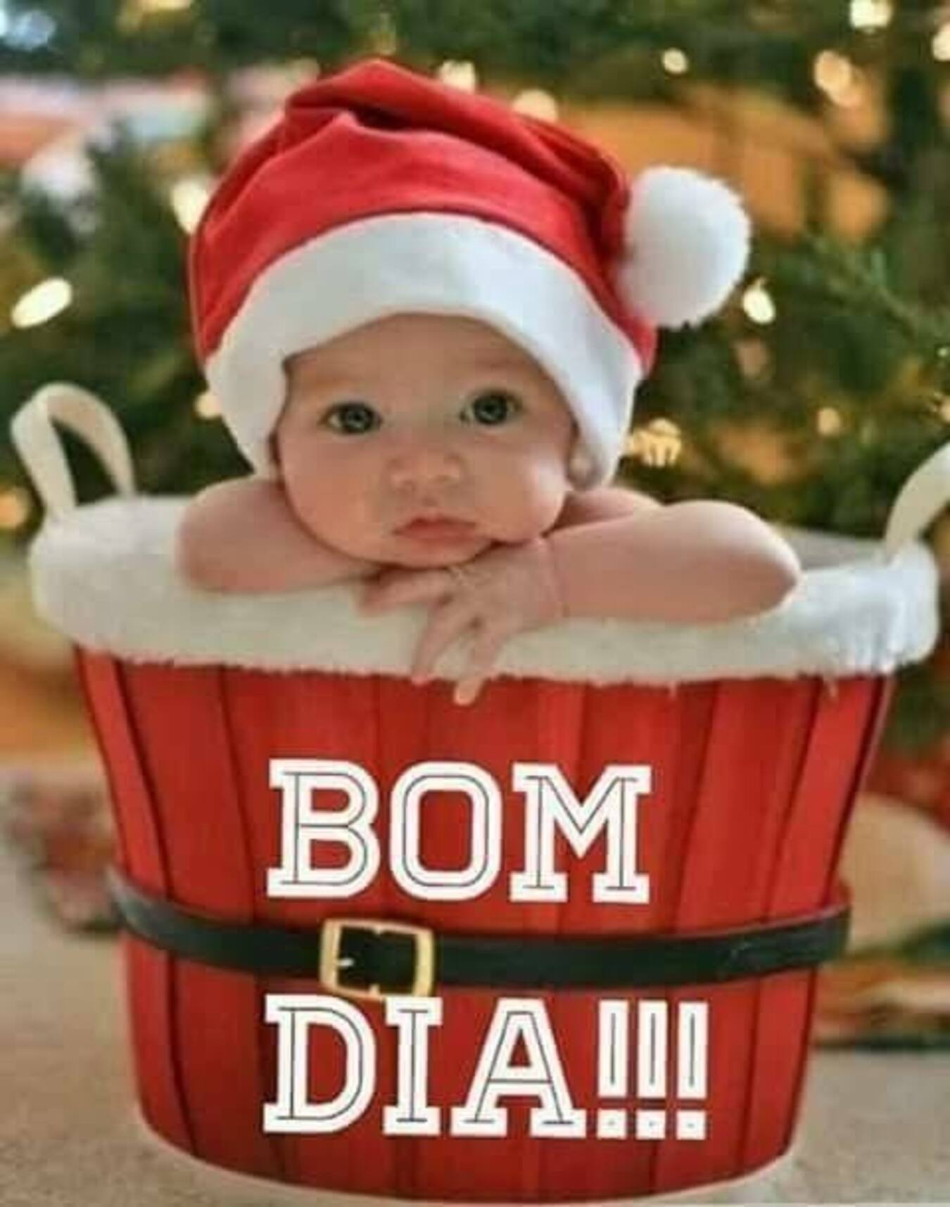 24 novas imagens para Bom Dia Natal - PraHoje.net
