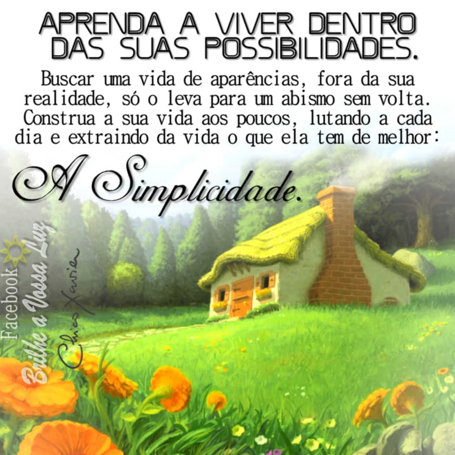 Frases Bonitas Para Compartilhar No Whatsapp